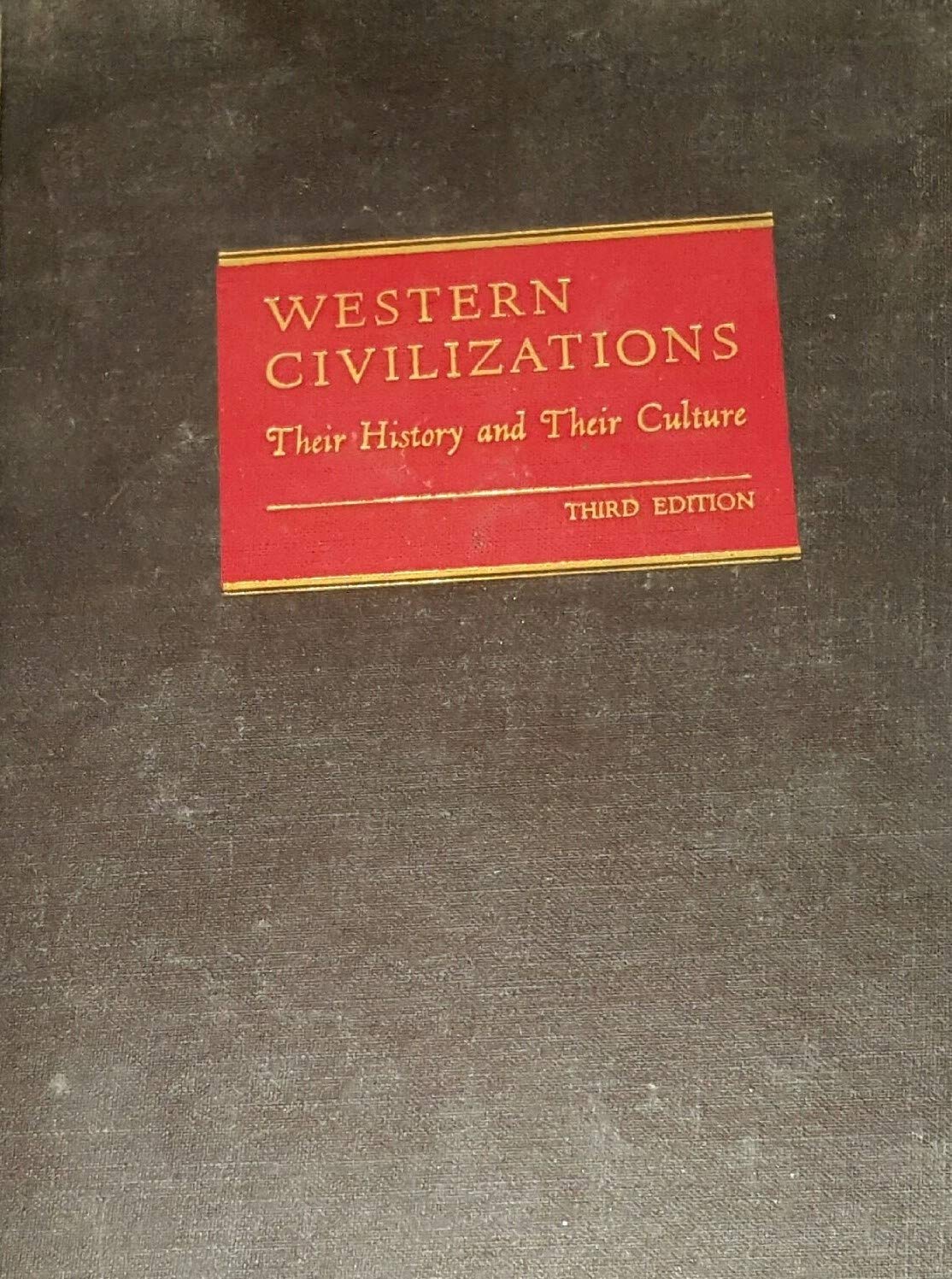 Western Civilizations: Their History and Their Culture (3rd edition ...