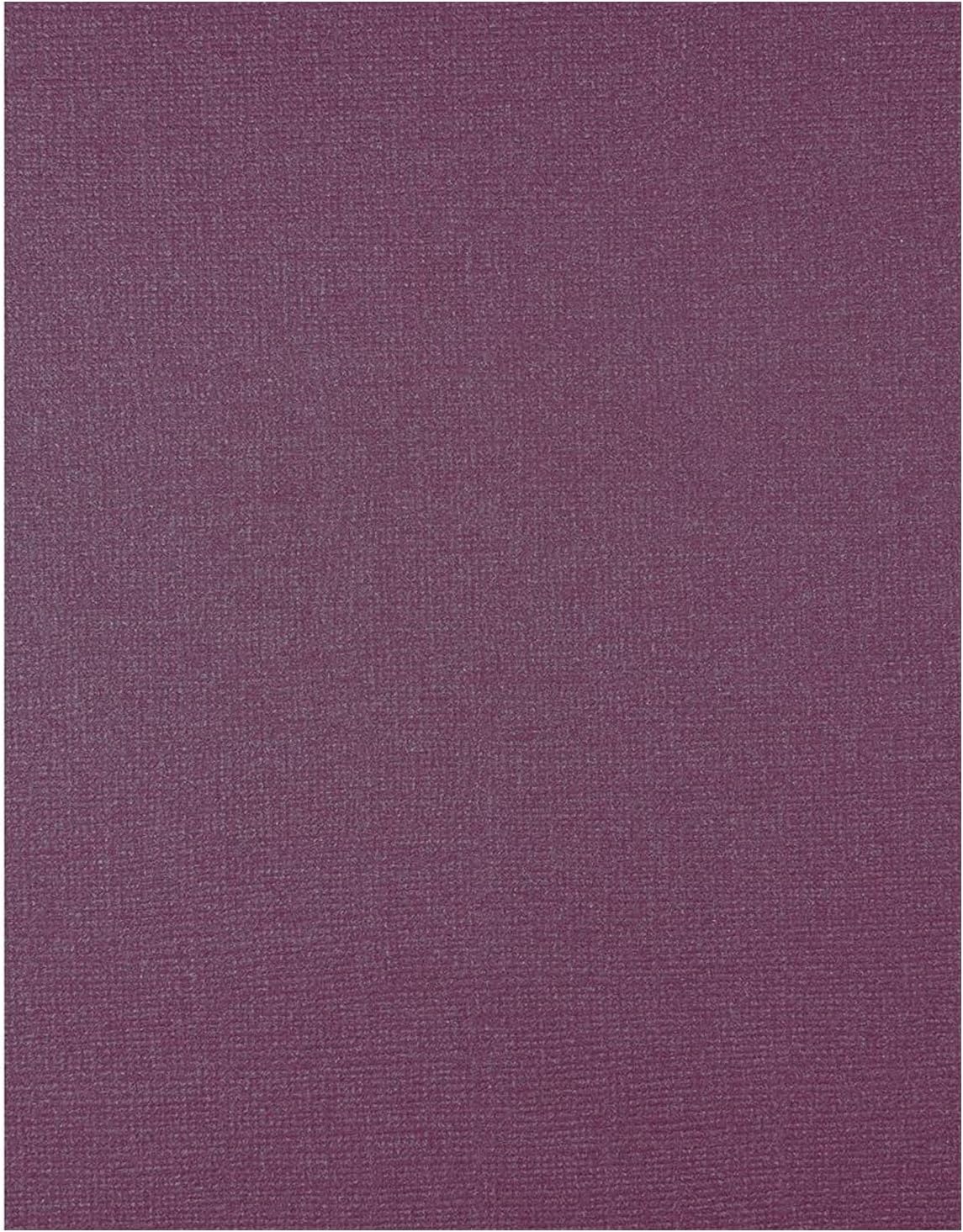 Amazon.com: PA Paper Accents Glimmer Cardstock 8.5" x 11" Purple Velvet ...