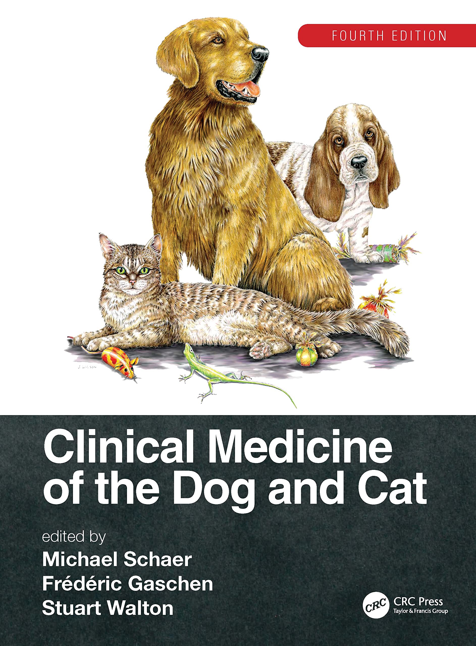 Clinical Medicine of the Dog and Cat: 9781032168944: Medicine & Health ...