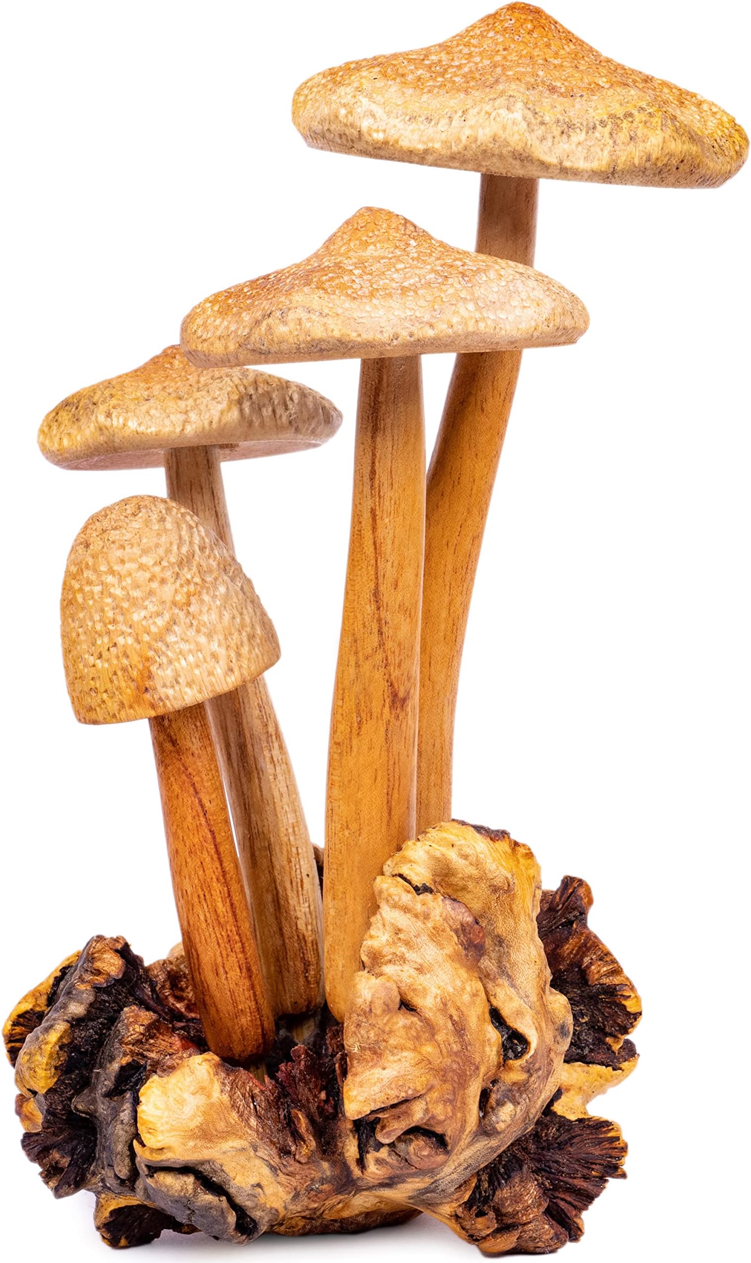 Amazon.com : Curawood Wooden Mushrooms Sculpture for an Ornate Touch ...