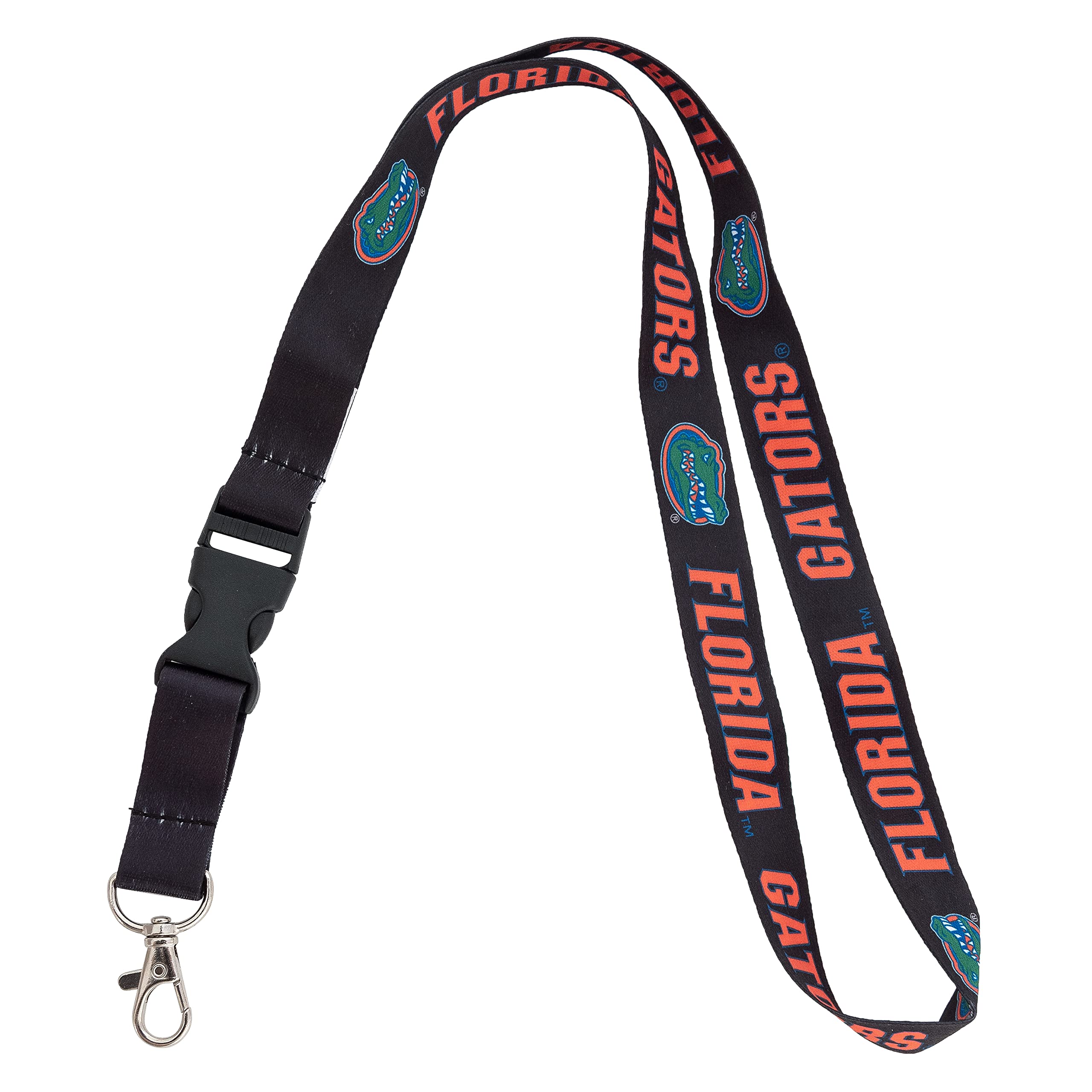 Amazon.com: Desert Cactus University of Florida Lanyard Gators Car Keys ...