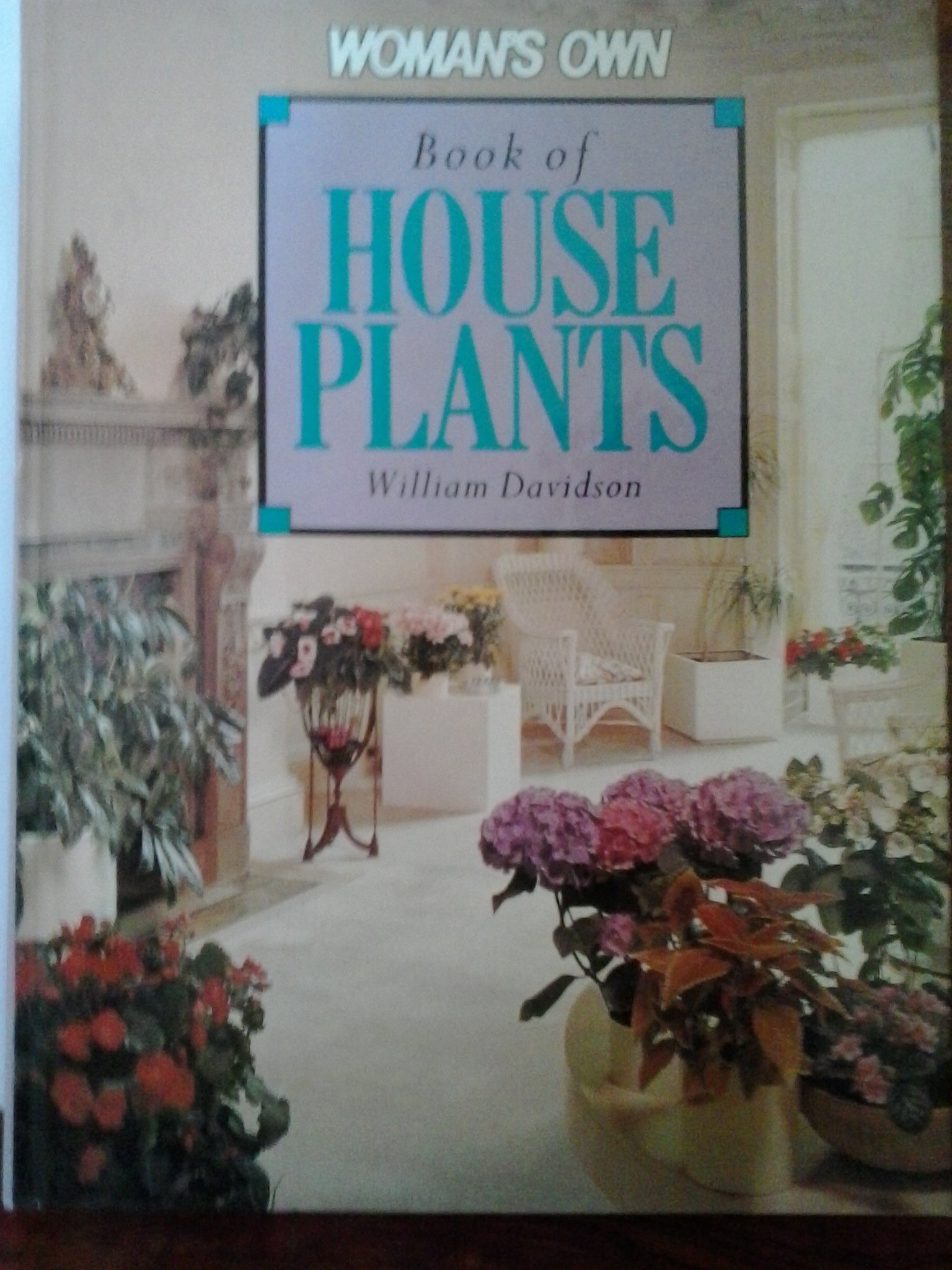 William Davidson Biography