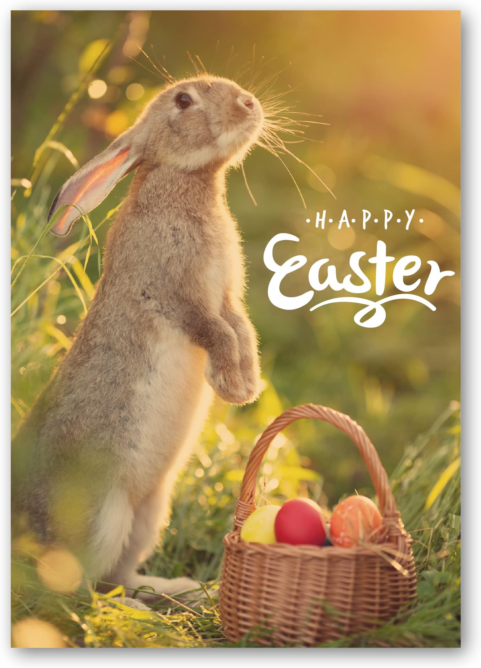 Regal Publishing Easter Card Open Lamb - 7 x 5 inches, C88347 : Amazon ...