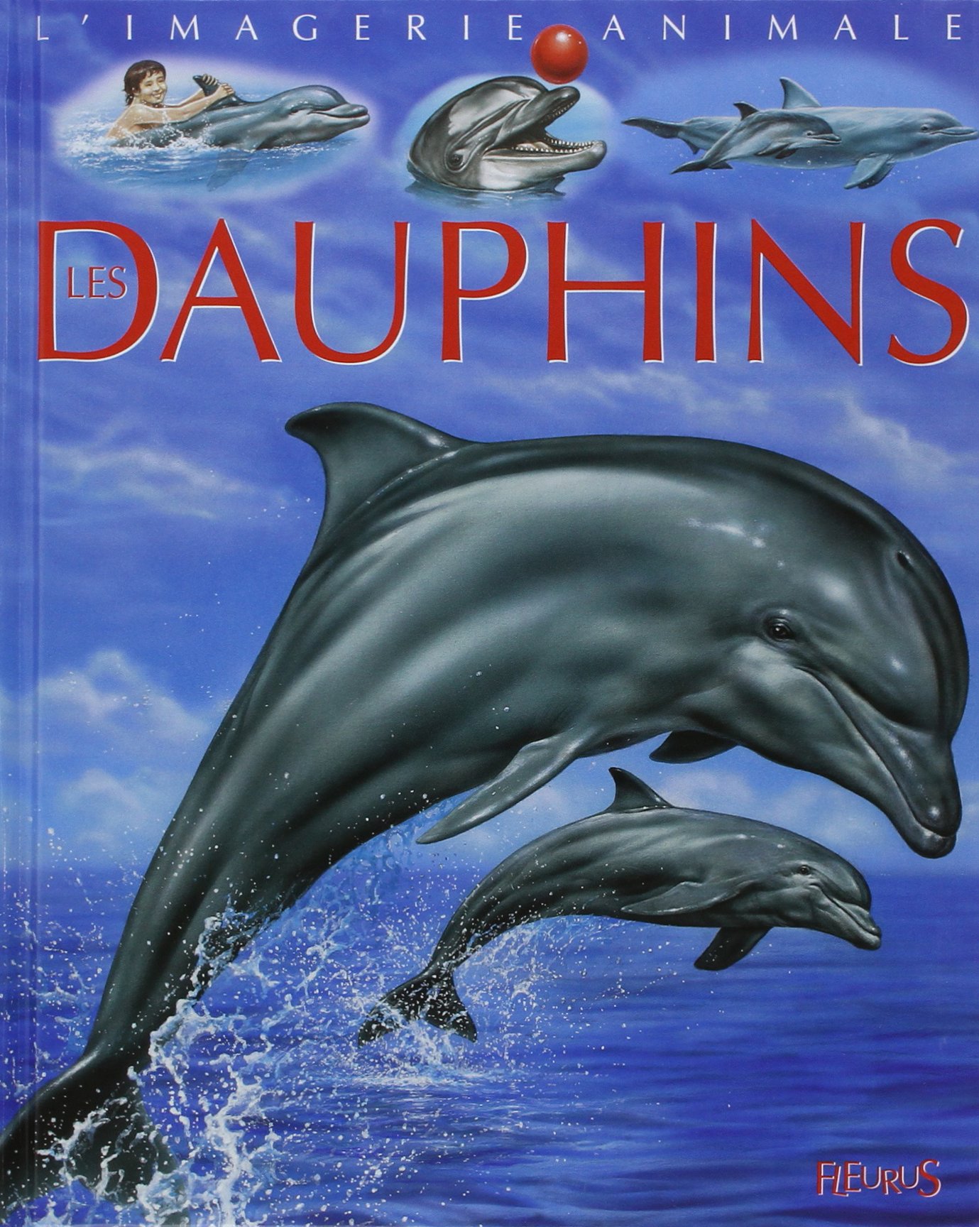Dauphins : Redoulès, Stéphanie, Alunni, Bernard, Dayan, Jacques: Amazon ...