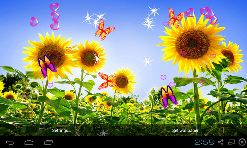 3D Sunflower Live Wallpapers:Amazon.co.uk:Appstore for Android