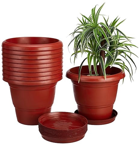 Amazon Brand - Solimo Round Pots for Plants with Bottom Tray | Modern ...