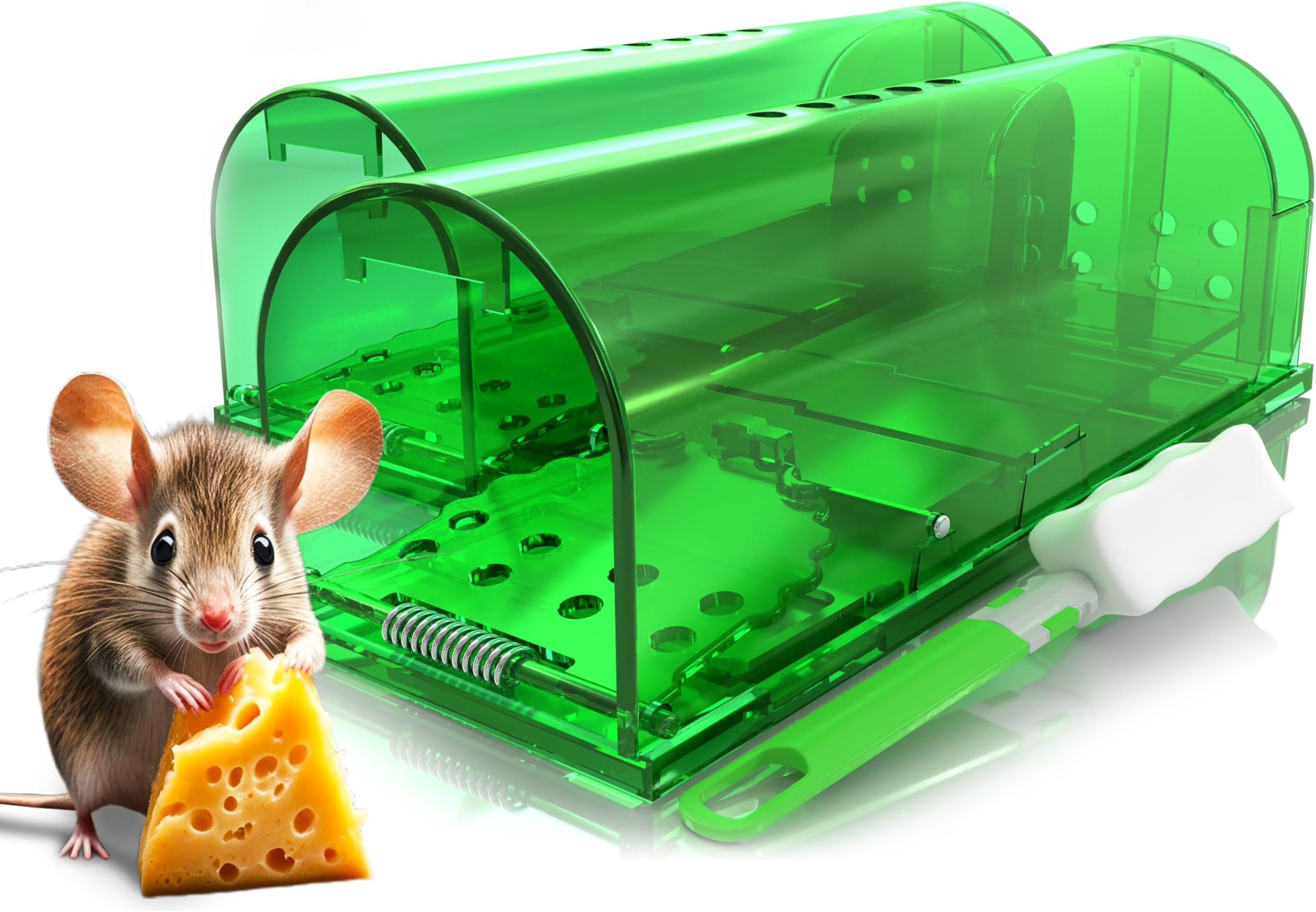 Amazon.com : Harris Humane Mouse Trap, Catch & Release : Patio, Lawn ...