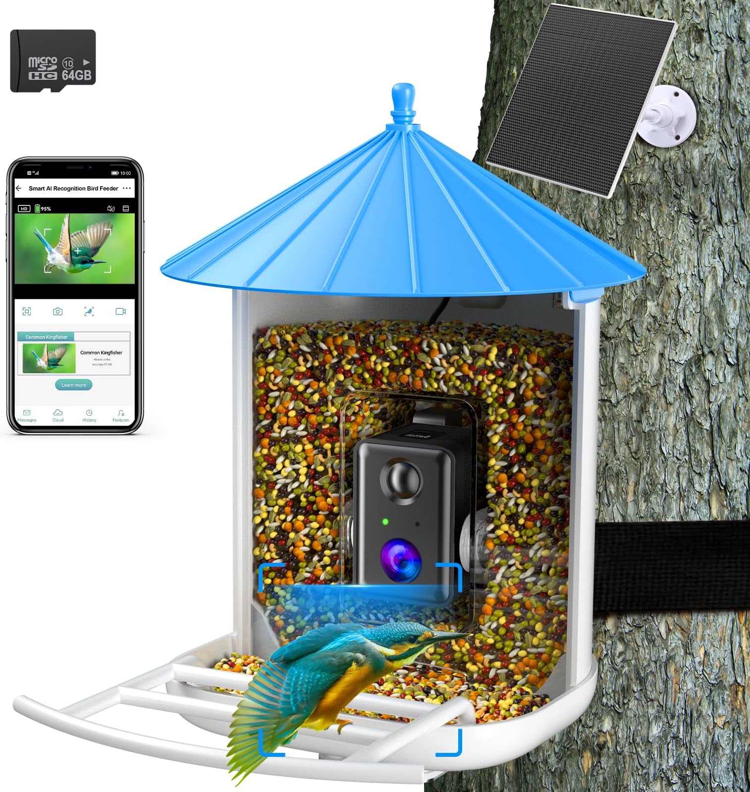 Amazon.com : BirdDock Bird Feeder with Camera, Smart Bird Feeder Camera ...