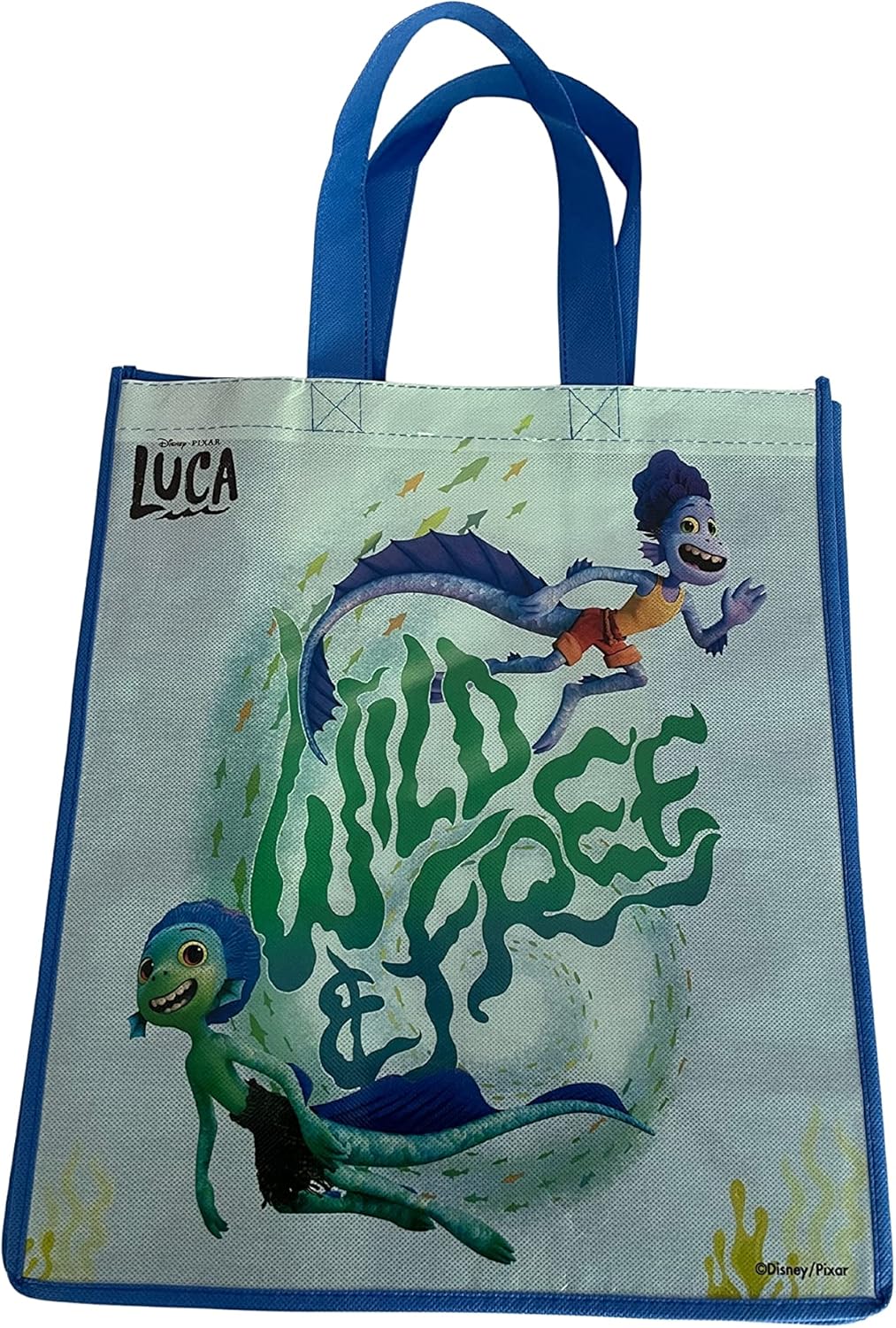 Amazon.com: LLP Disney's Pixar Luca Large Reusable Tote Bag … : Home ...