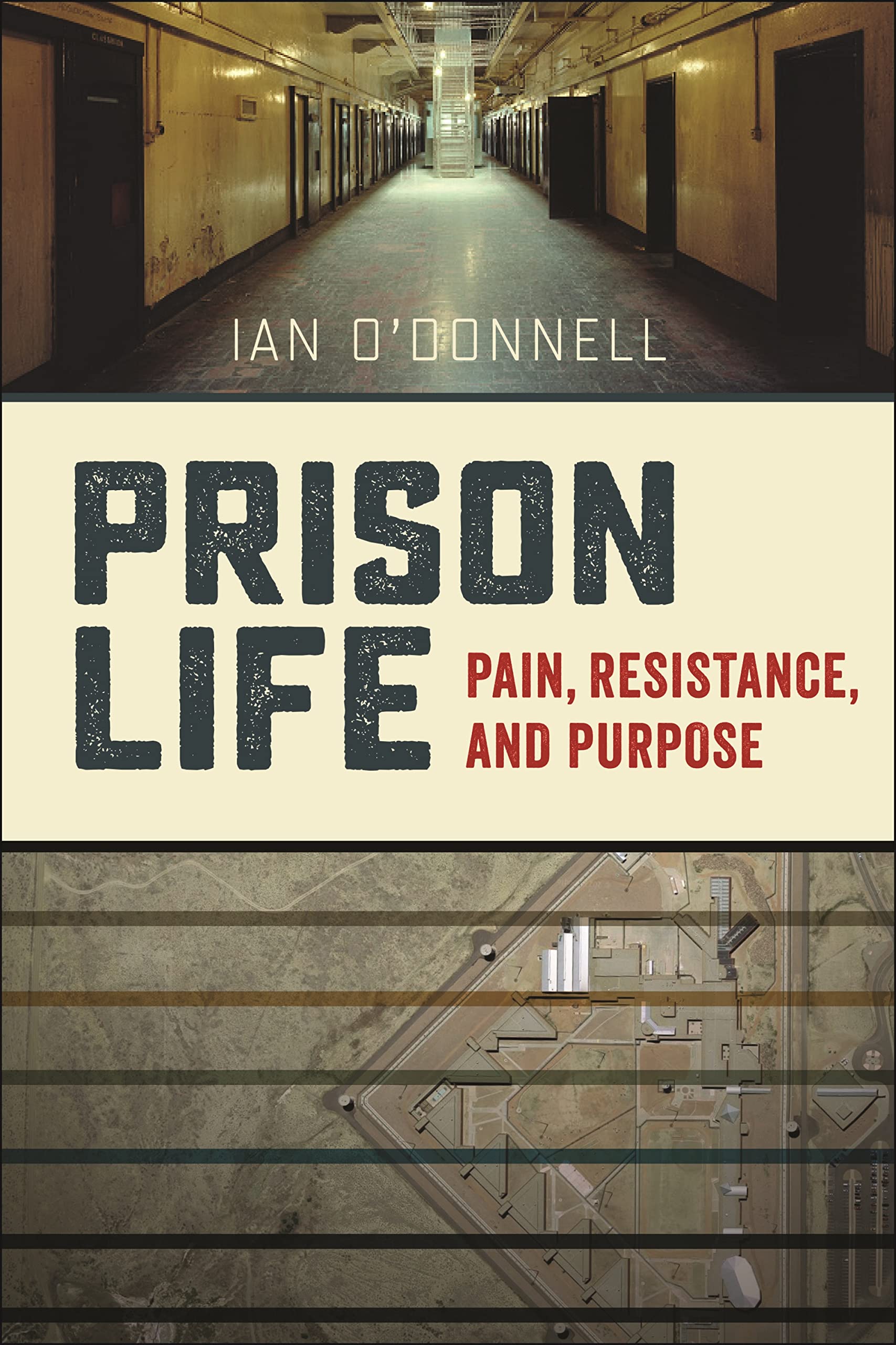 Prison Life: O'Donnell, Ian: 9781479816156: Amazon.com: Books