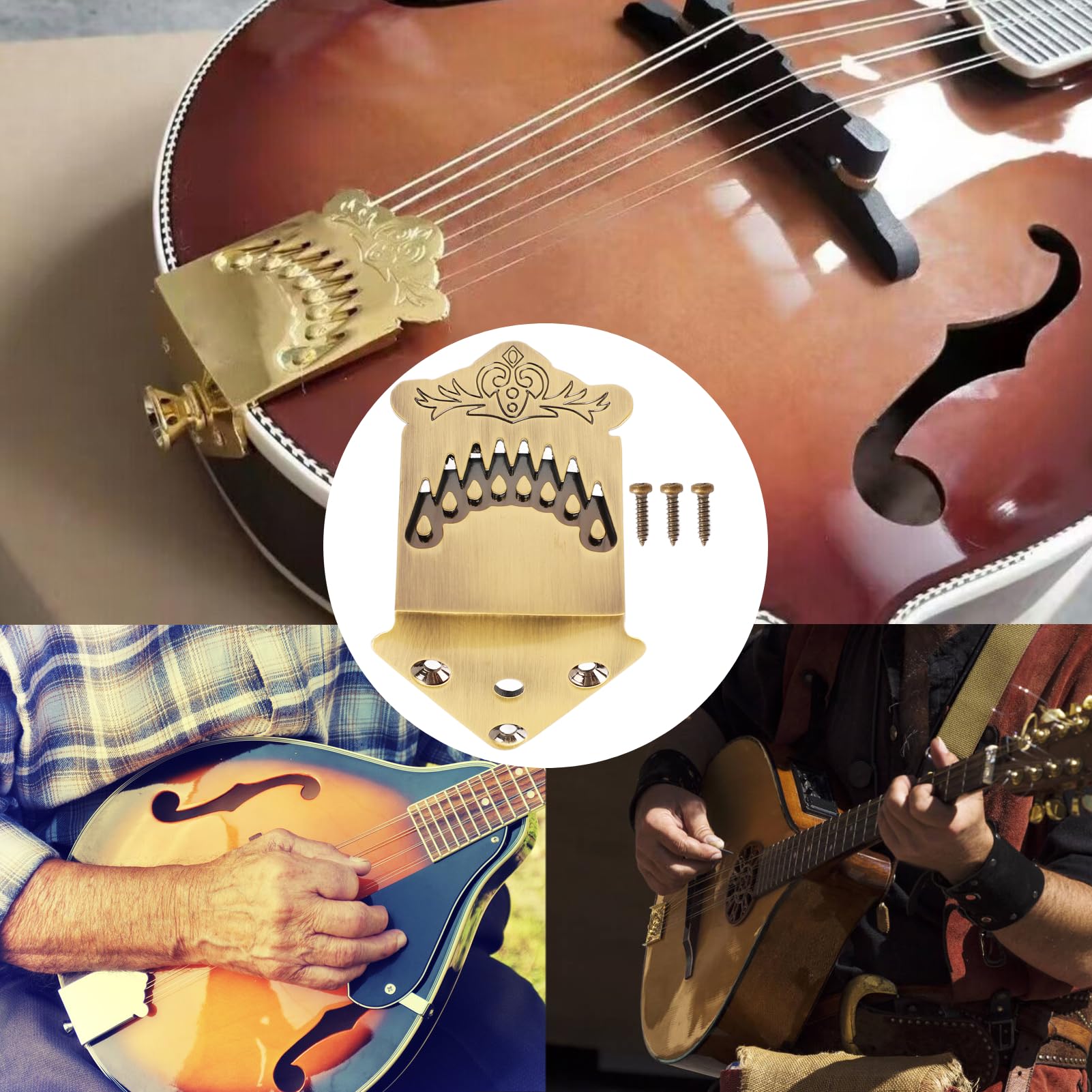 Snapklik.com : 8 String Mandolin Tailpiece Pattern Metal Mandolin ...