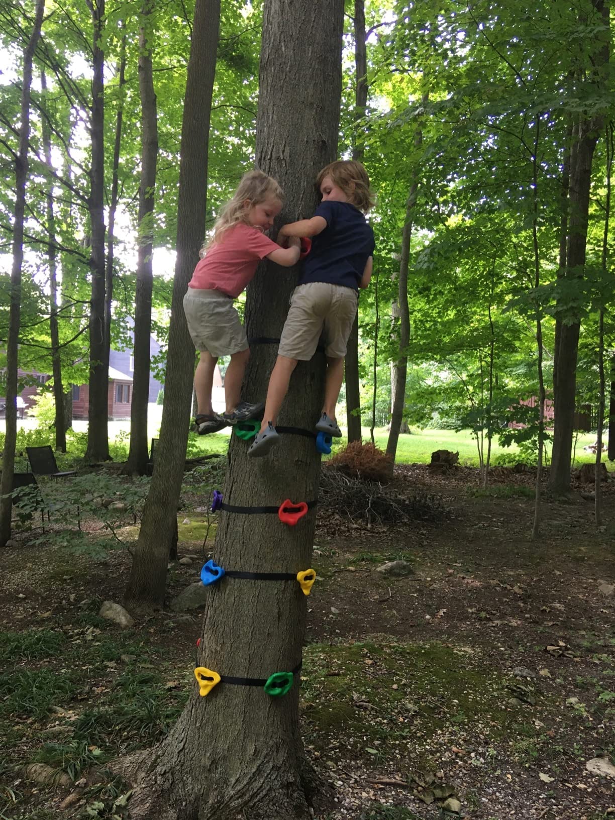 $11/mo - Finance TOPNEW 20 Ninja Tree Climbing Holds for Kids Climber ...