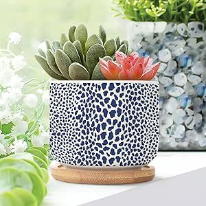 Amazon.com: WoGuangis 1 Piece Navy Leopard Blue Small Ceramics Pots for ...