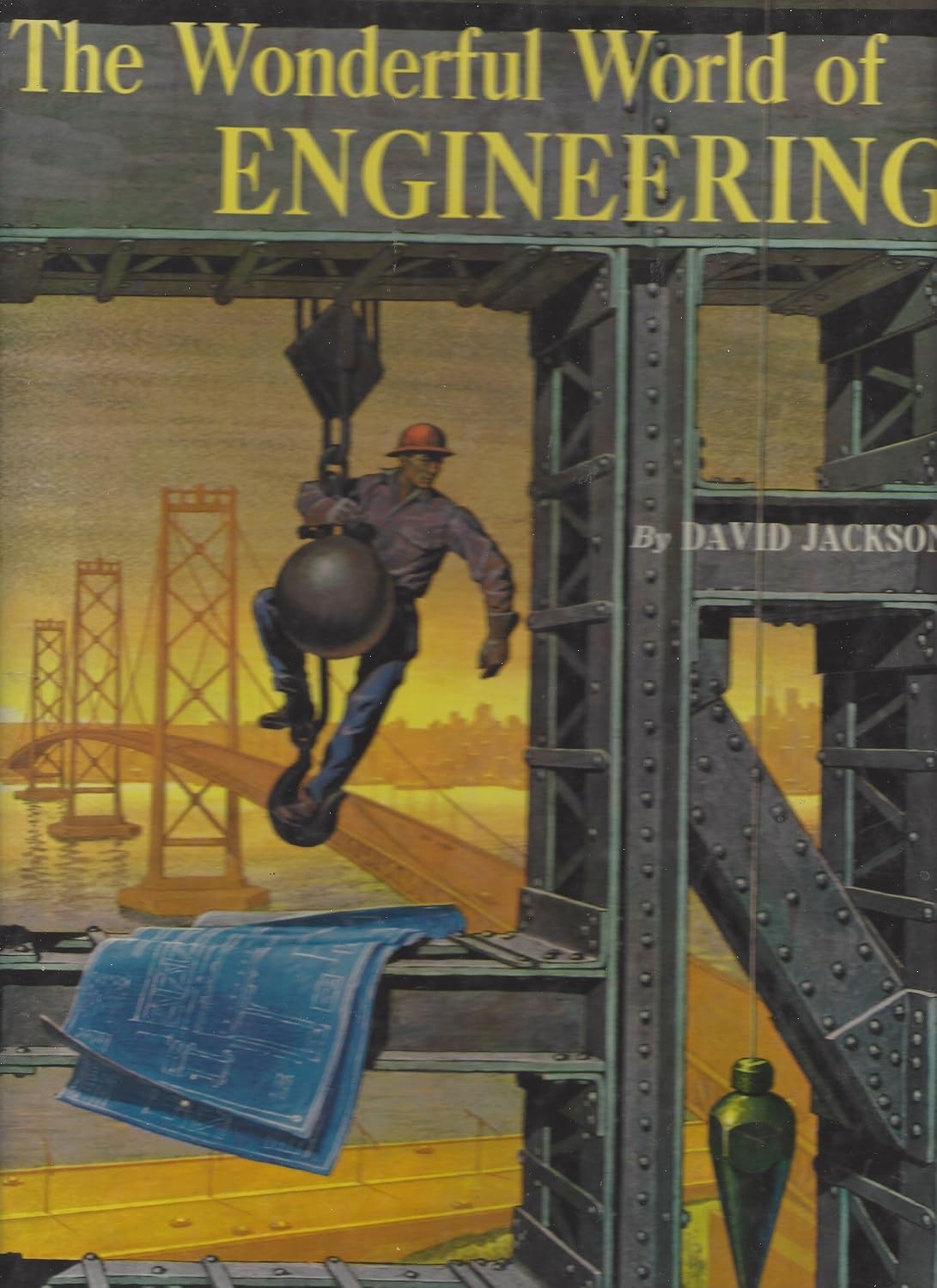 The wonderful world of engineering: Amazon.co.uk: Jackson, David: Books
