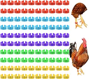 Amazon.com: 100 PCS Chickens Leg Bands 16mm Chicken Tags for Legs ...