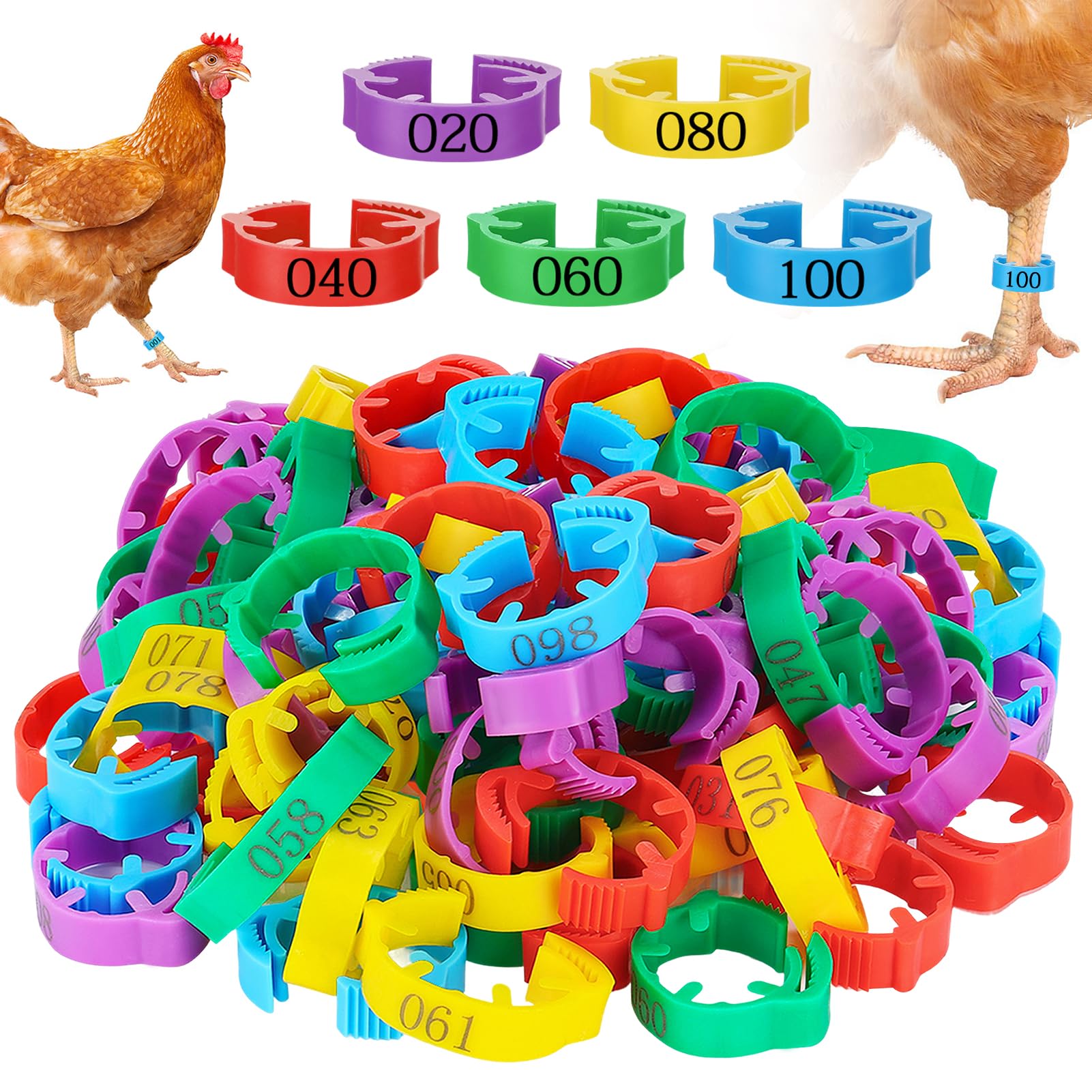 Snapklik.com : MEWTOGO Adjustable 100 Pcs Chicken Leg Rings - Colorful ...
