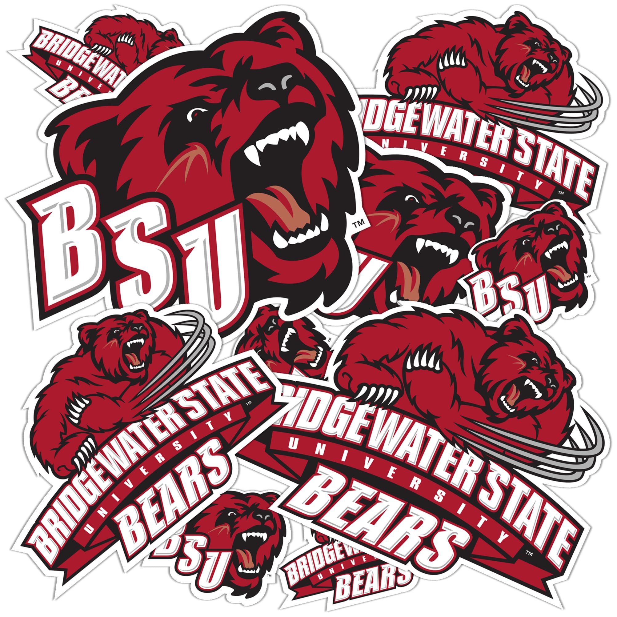 Amazon.com: Desert Cactus Bridgewater State University Sticker BSU ...