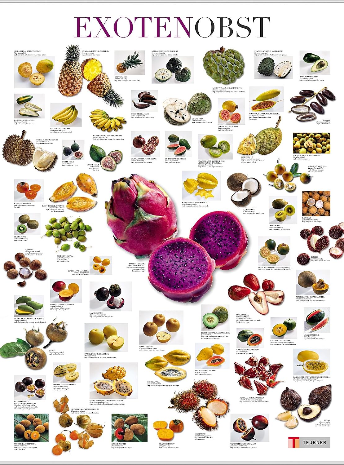 Exoten Obst (Poster) : Amazon.de: Bücher