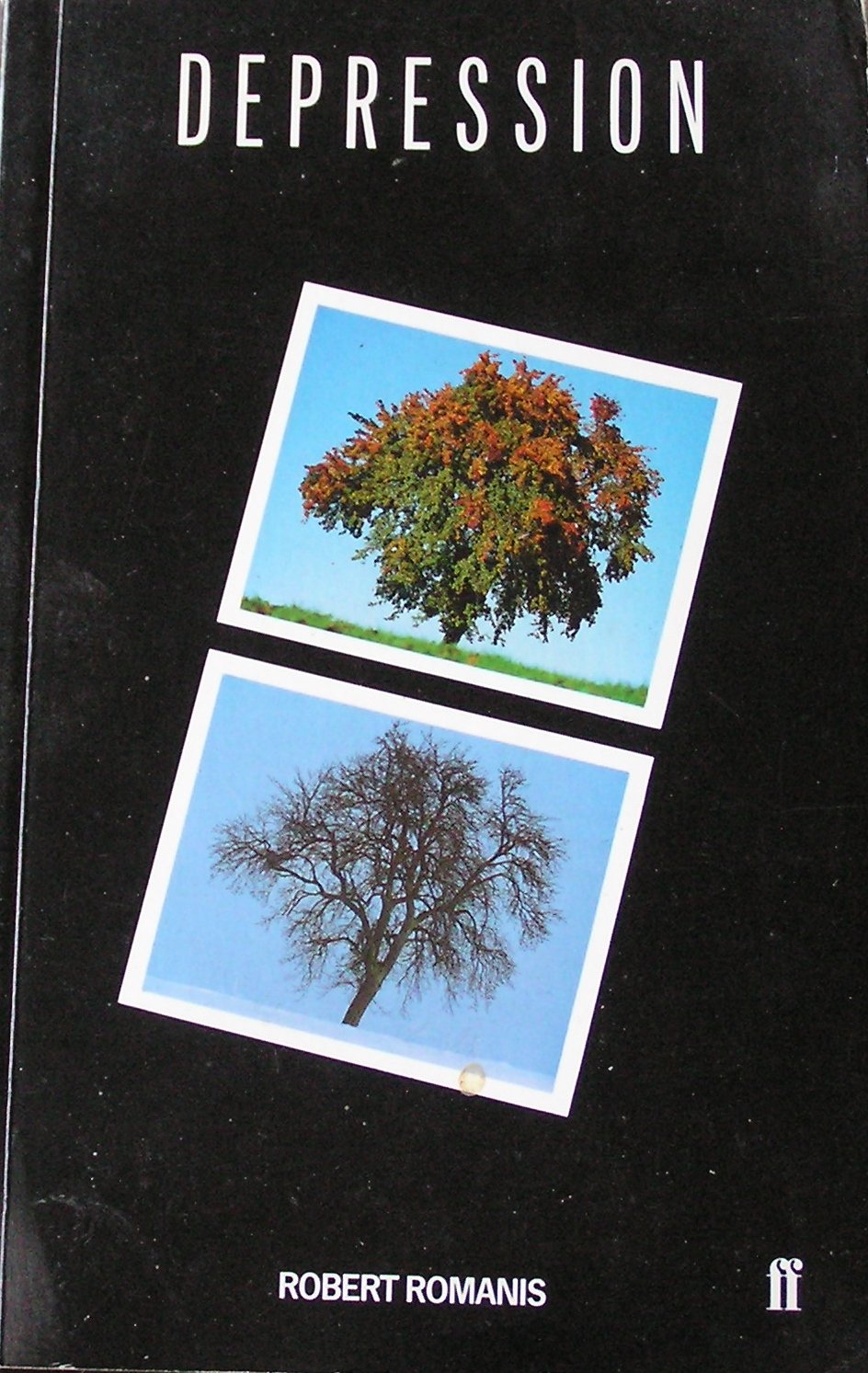 Depression: Romanis, Robert: 9780571146741: Amazon.com: Books