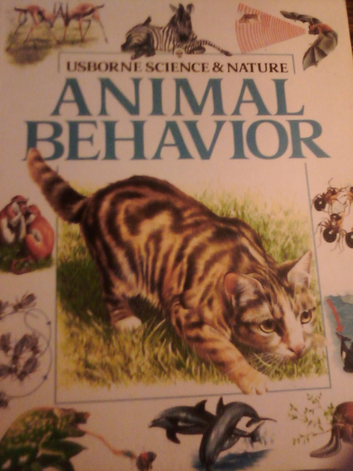 Animal Behavior (Science and Nature Series): Stockley, C ...