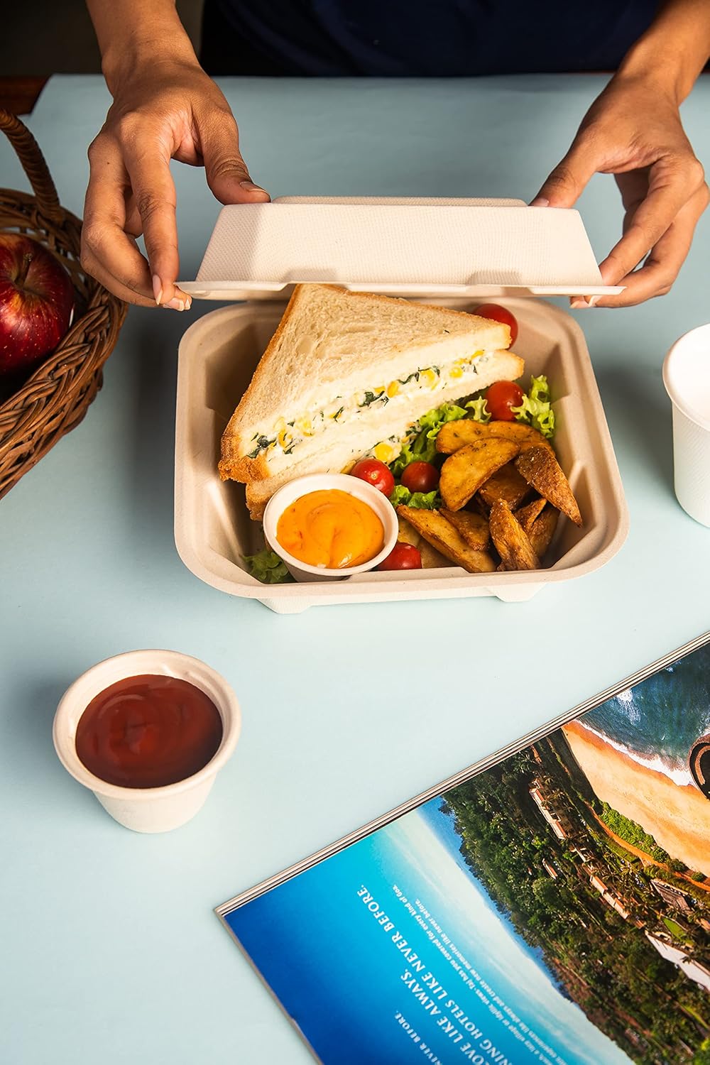 Global Disposable 8 X 8 inch Clamshell Plain Takeaway Box (Pack of 25 ...