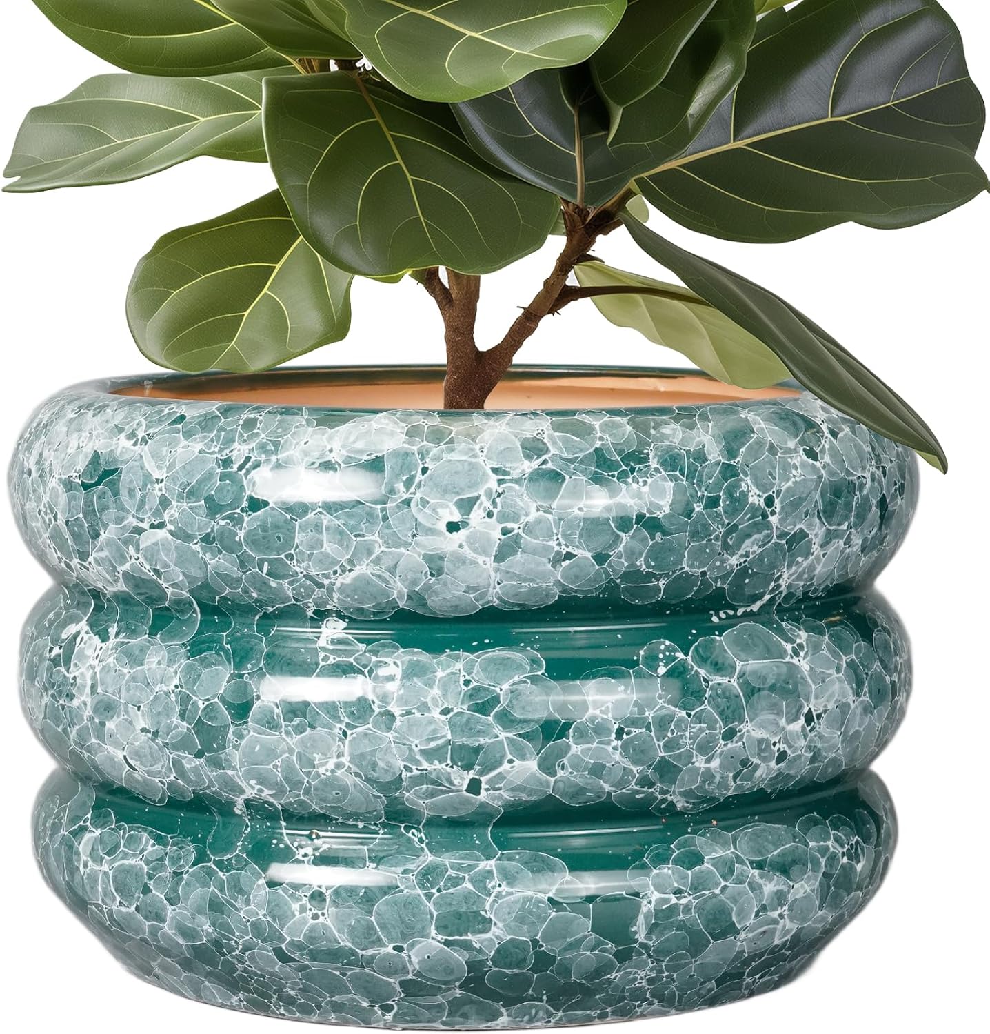 Amazon.com : SQOWL Ceramic Planter for Indoor Plants 13.5 Inch - Large ...