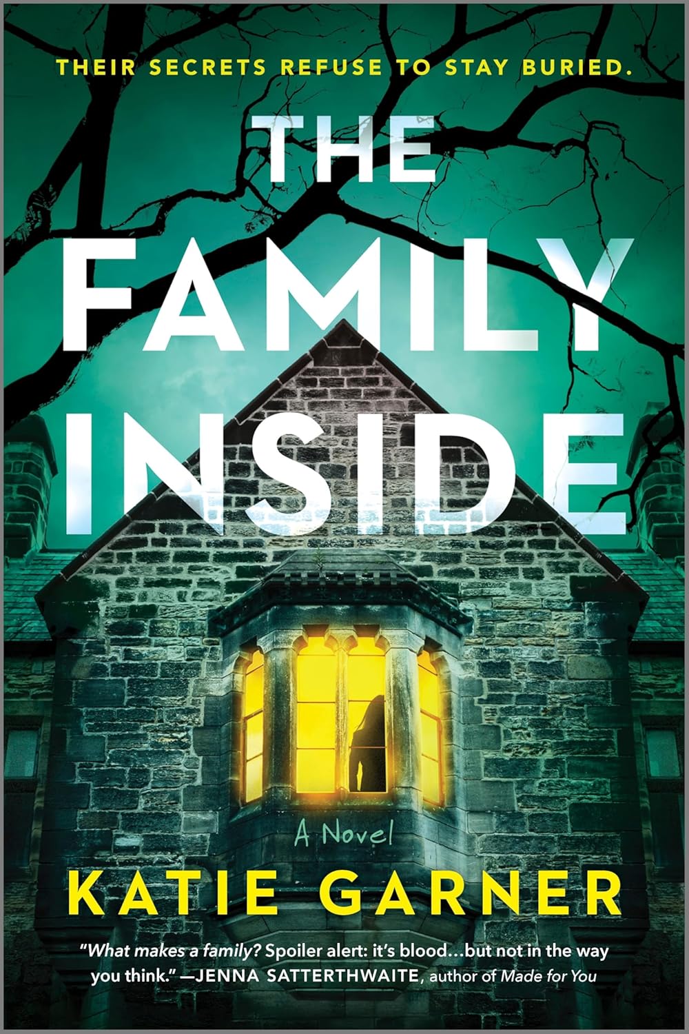 Amazon.com: The Family Inside: A Gothic Psychological Thriller of Family Secrets and Betrayal in ...