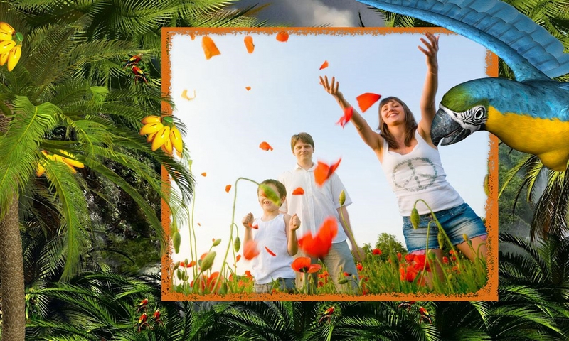 Jungle Photo Frames Maker:Amazon.co.uk:Appstore for Android