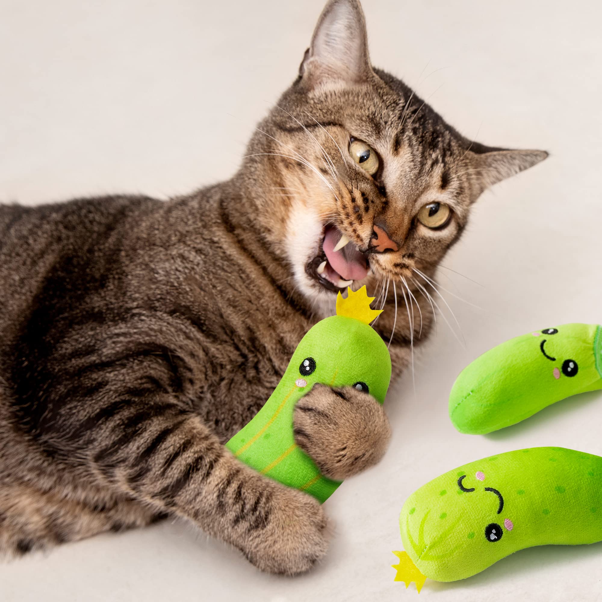 Onion Cat