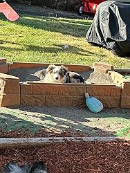 Amazon.com: Step2 Naturally Playful Sandbox II, Kids Sand Activity ...