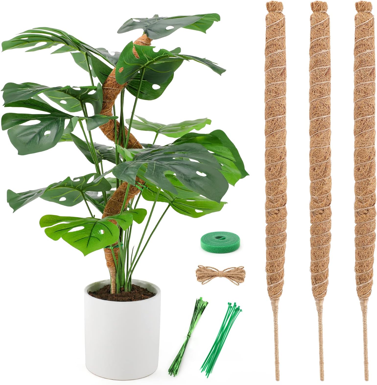 4 Pack Moss Pole For Plants, Bendable Plant Supports for Indoor Plants ...