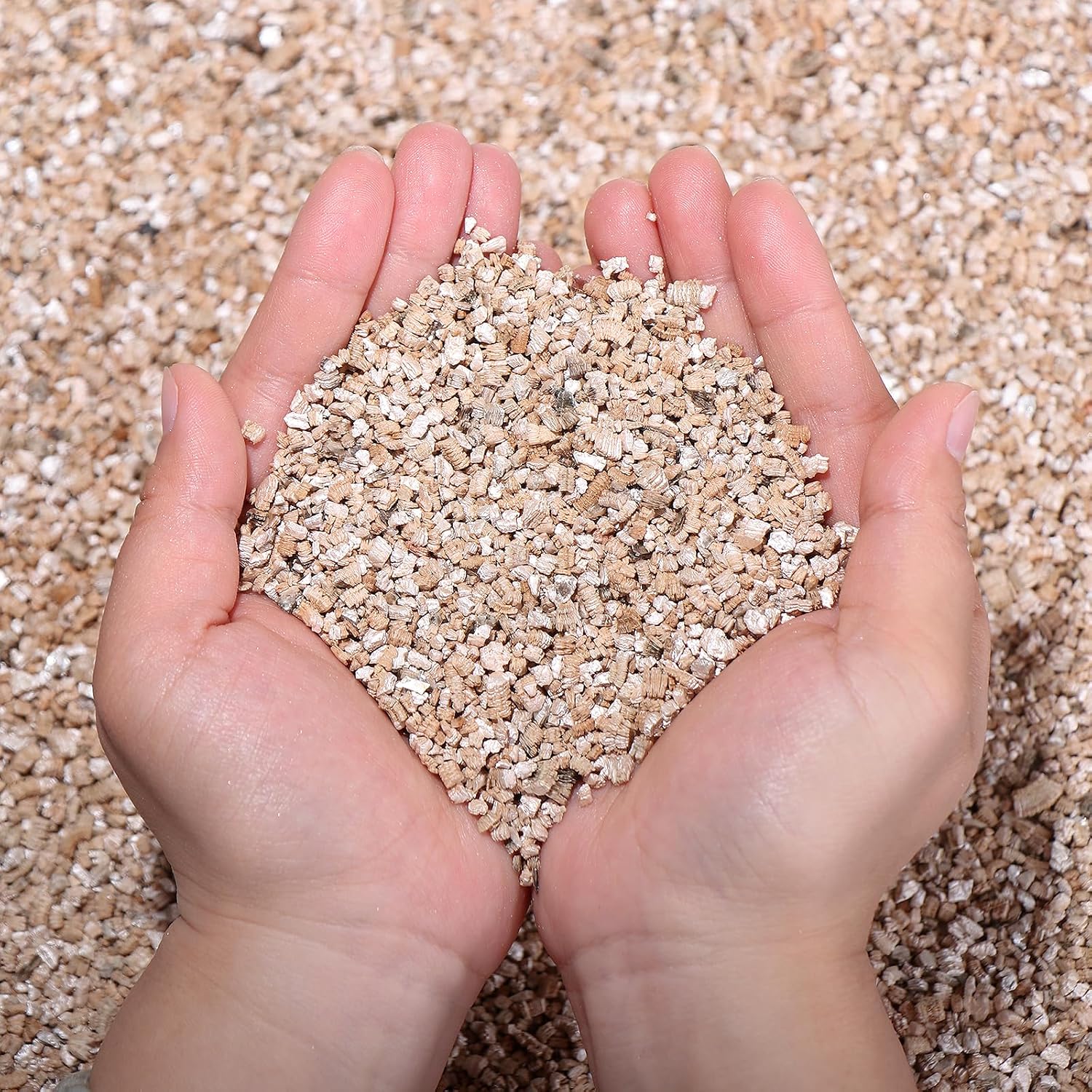 Amazon.com : 8QT Vermiculite, Organic Vermiculite for Gardening, Plants ...