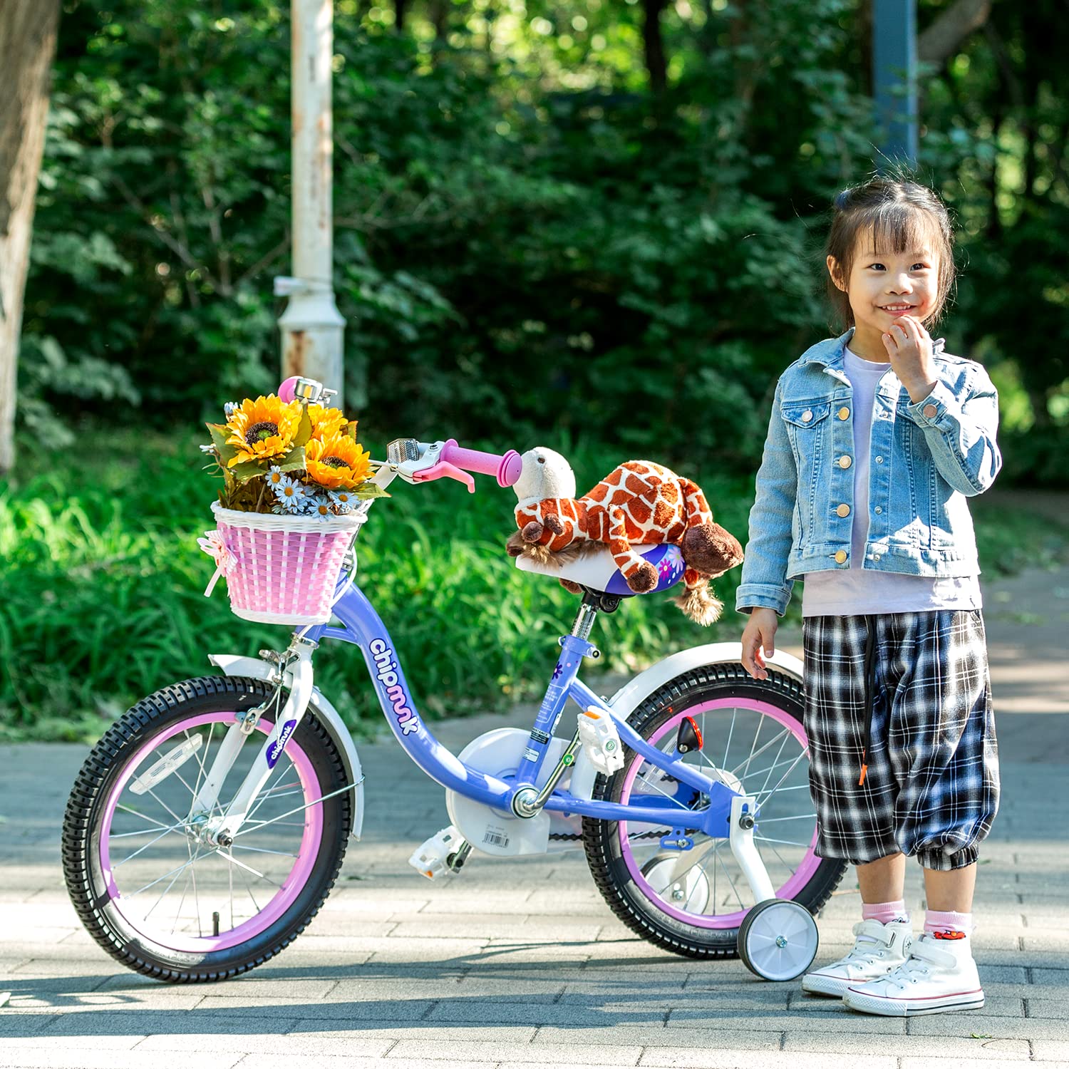 Royalbaby Chipmunk Girls Bike,14 16 18 Inch Kids Bike with Basket Girl ...