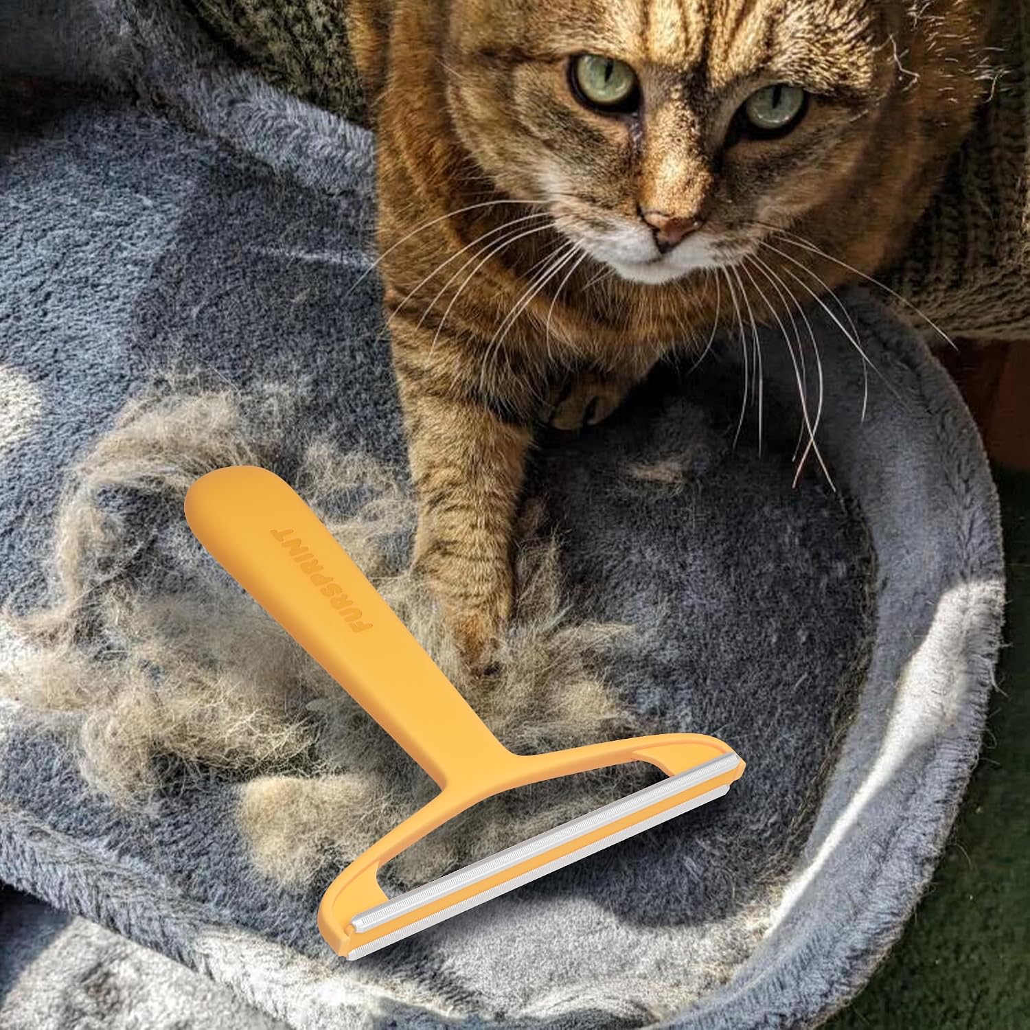 Amazon.com: Fursprint Pro Pet Hair Removal Tool – Dog & Cat Hair ...