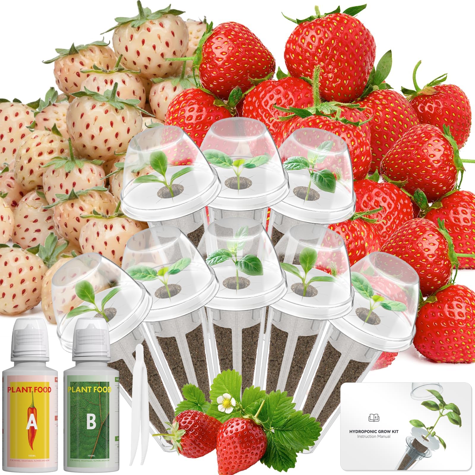 Amazon.com : 5 Hydroponic Buckets Kit for Plants, Hydroponics Growing ...