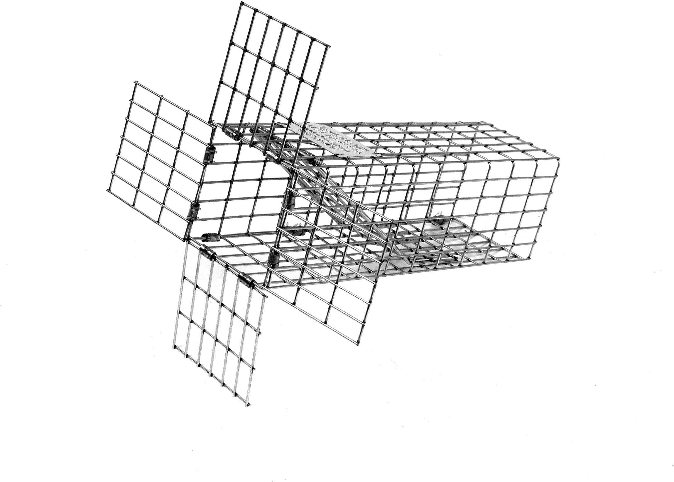 Amazon.com : Excluder One Way Squirrel and Rodent Trap - Control Mice ...