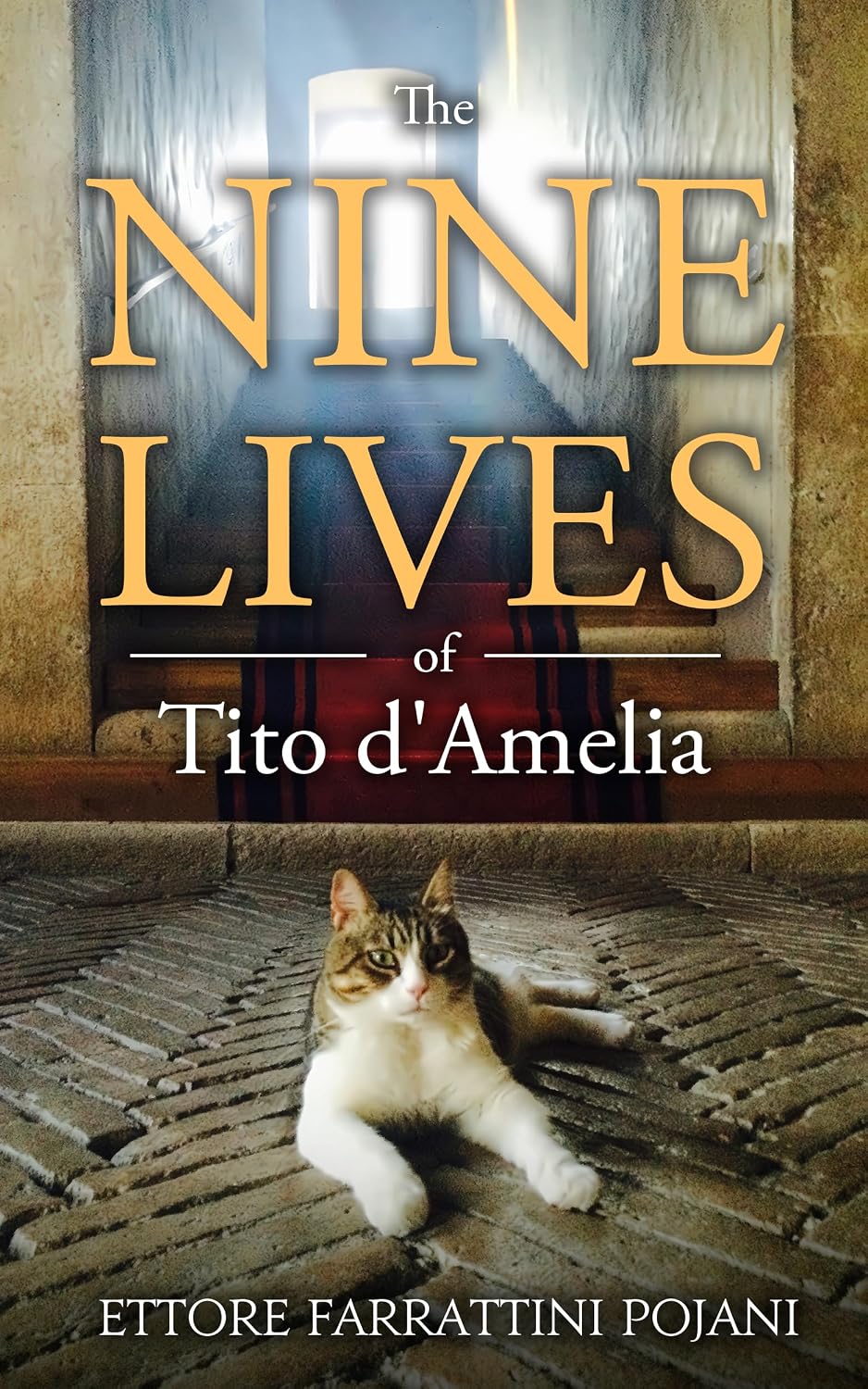Amazon.com: The Nine Lives of Tito d'Amelia eBook : Farrattini Pojani ...