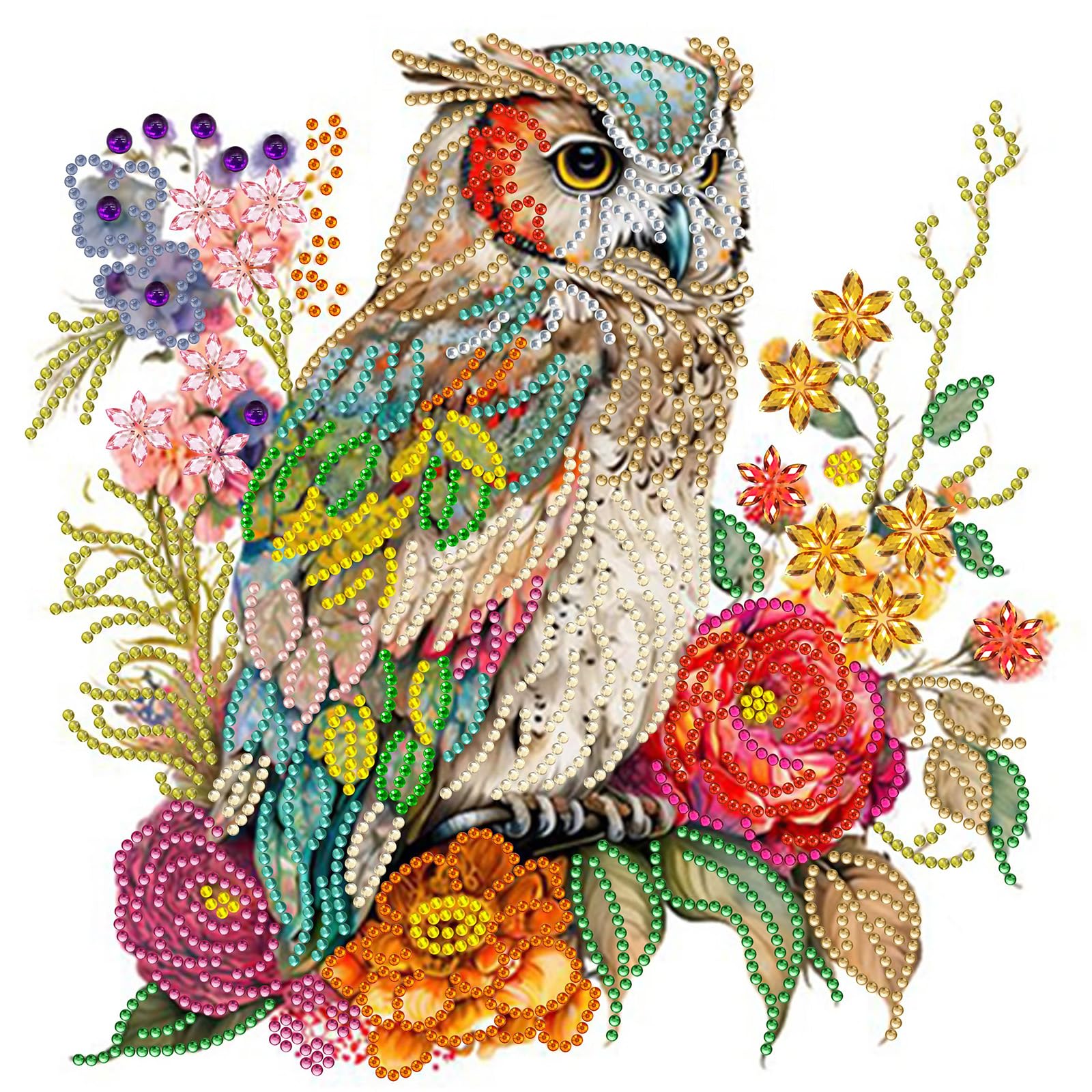 Amazon.com: DOMROM Owl Diamond Painting Kits for Adults, Owl and ...