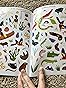 Rainforest Sticker Book (Scribblers Fun Activity): Channing, Margot ...