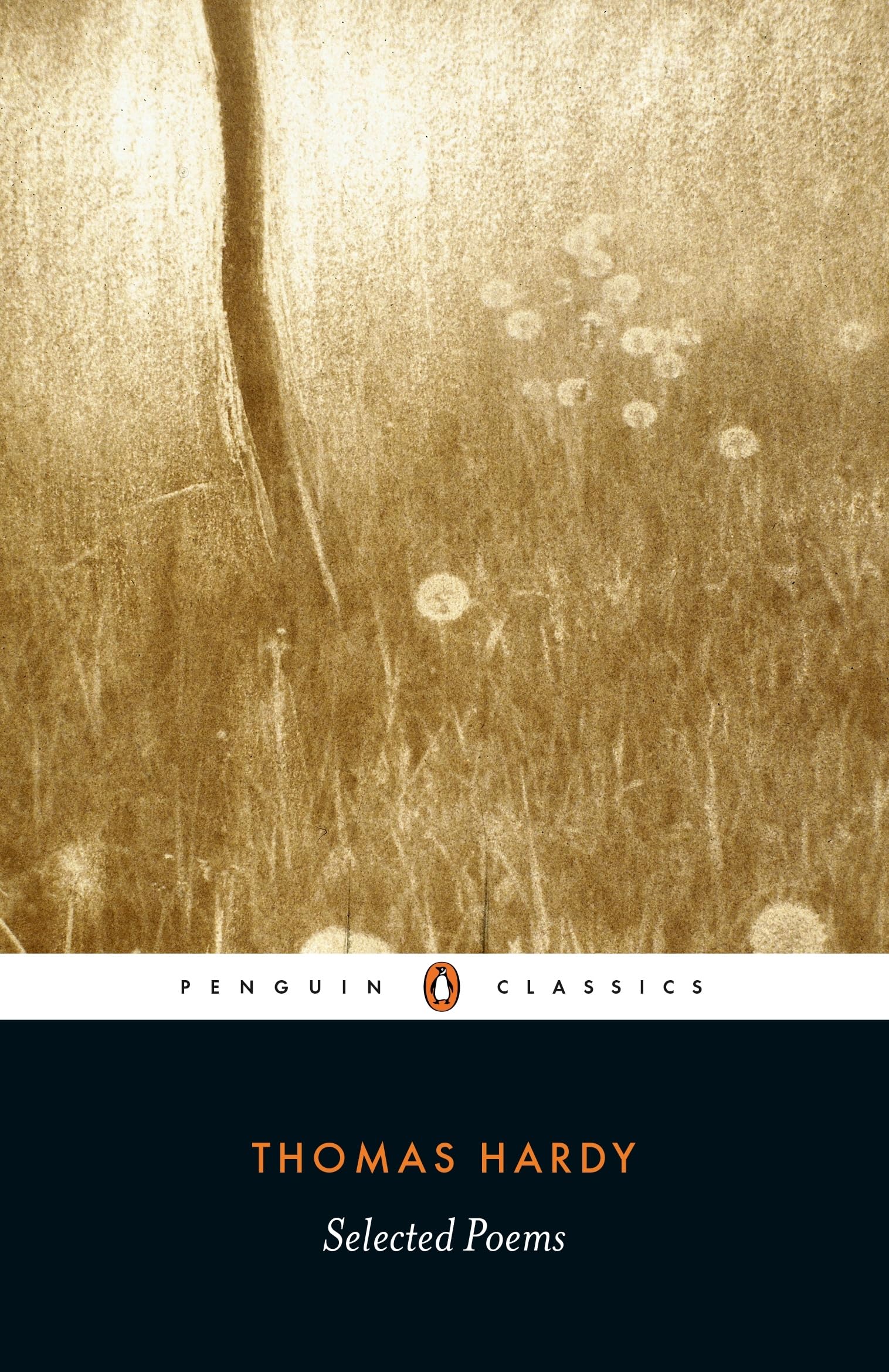 Amazon.com: Selected Poems (Penguin Classics): 9780140433418: Thomas ...