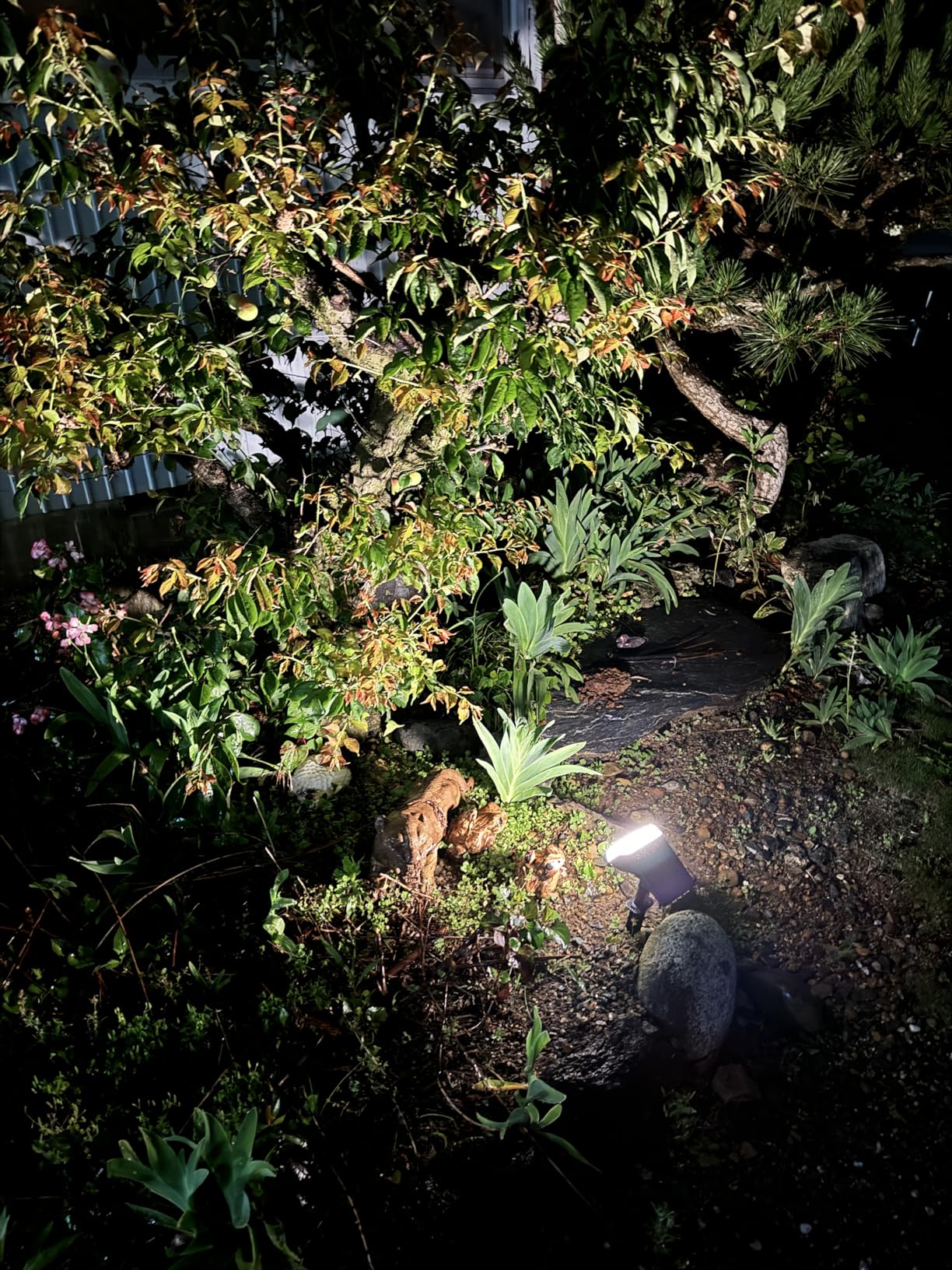 Amazon.co.jp: Linkind Solar Light, Outdoor, Waterproof, IP67, High ...