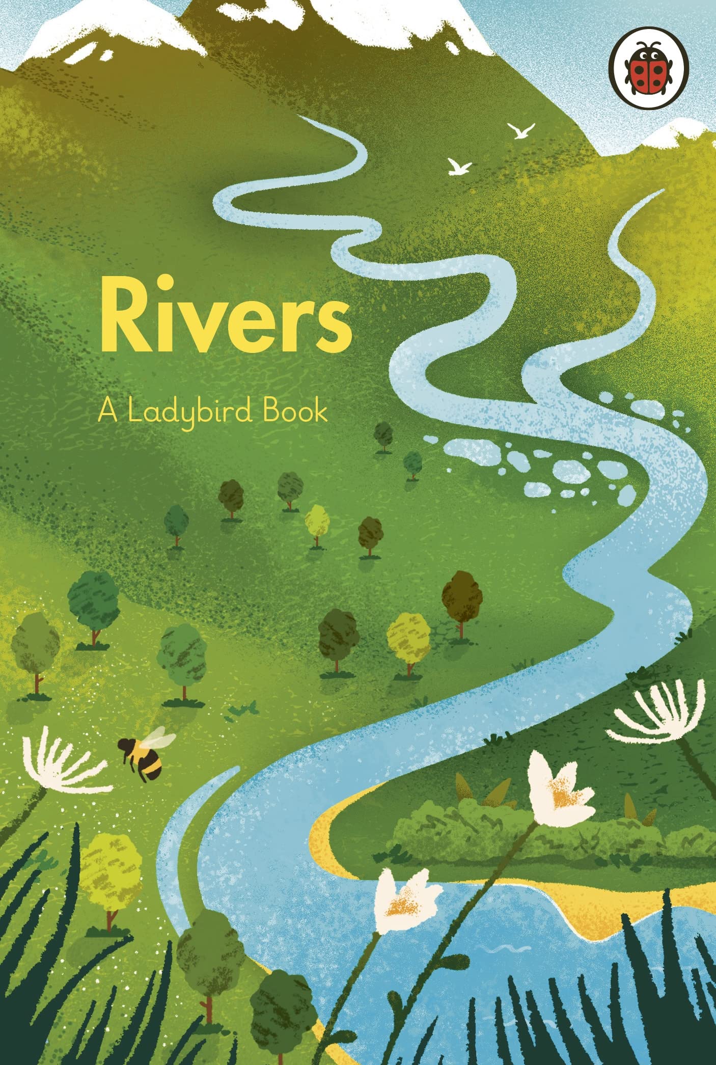 Amazon | Rivers (Ladybird Books, 234) | Walden, Libby, Brown, Lee ...