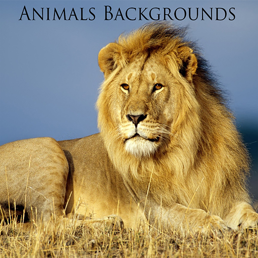 Animals Backgrounds - App on Amazon Appstore