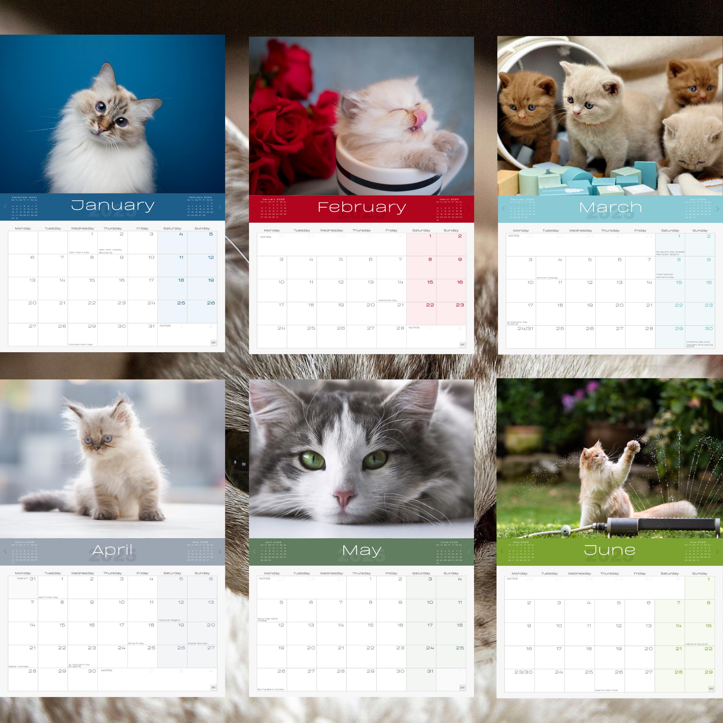 Cats Calendar 2025 – Space For Notes Across 13 Months. Beautiful Images ...