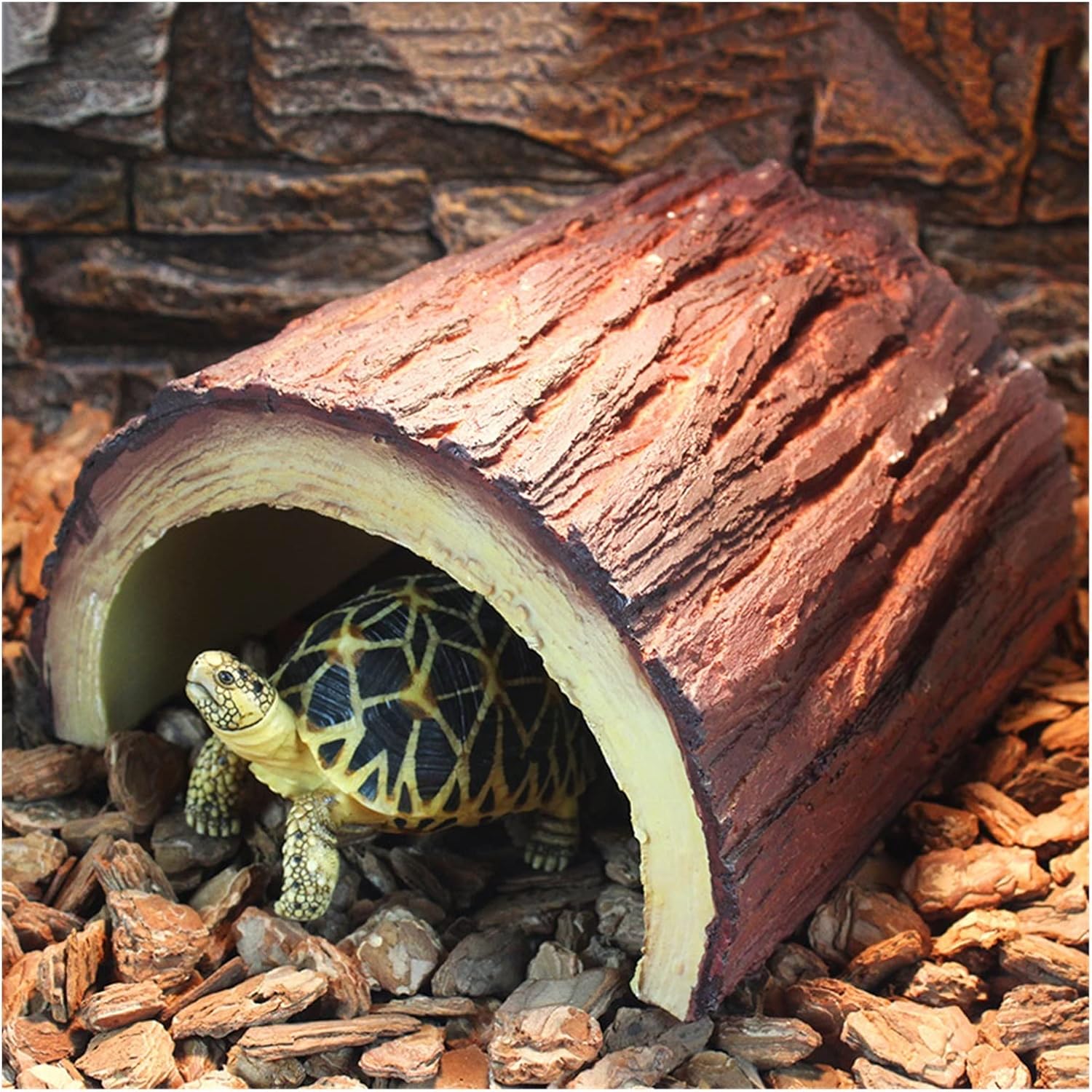 Amazon.com : Feeding Reptile Feeding Terrarium Box Tortoise Lizard ...