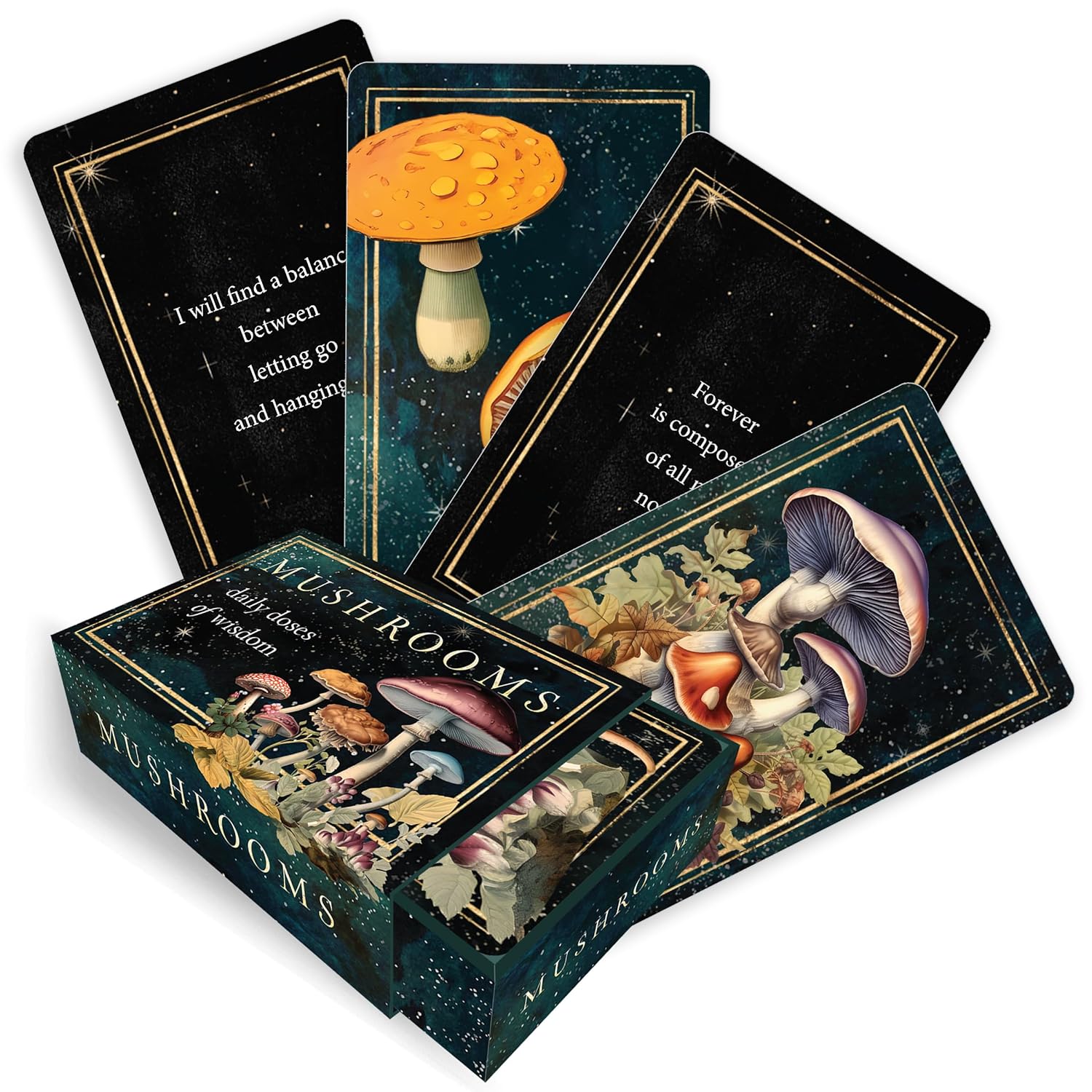 Mushrooms: Daily Doses of Wisdom (36 Gilt-Edged Full-Color Cards): Red ...