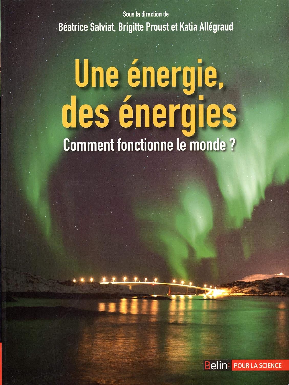 Amazon.com: Une énergie, des énergies: Comment fonctionne le monde ...