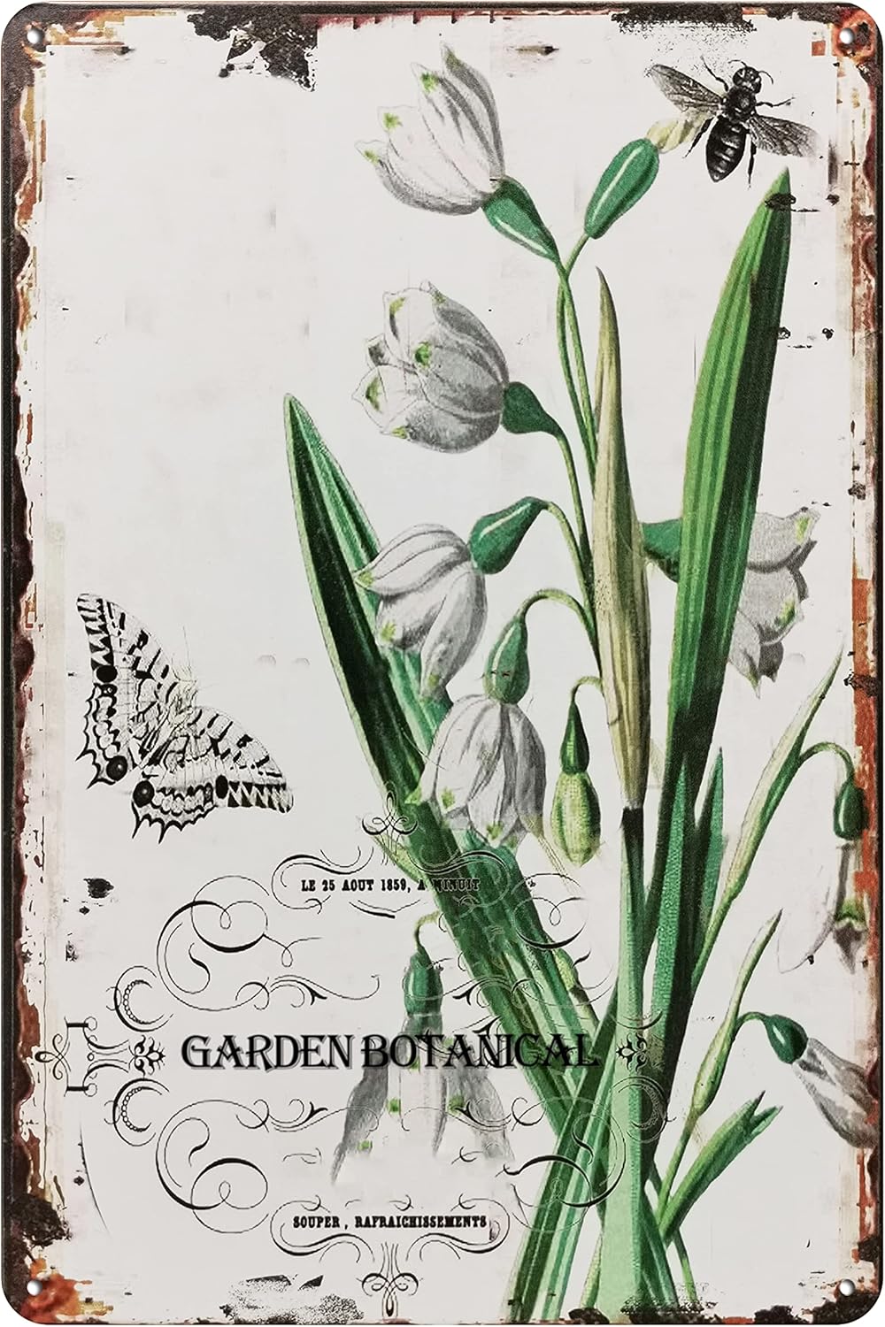 Amazon.com: TREEPERI Vintage Garden Metal Sign Flower Galanthus nivalis ...