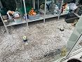 Battles Sulphur Candle 225g PACK OF 2 - Kill Greenhouse Pests and ...