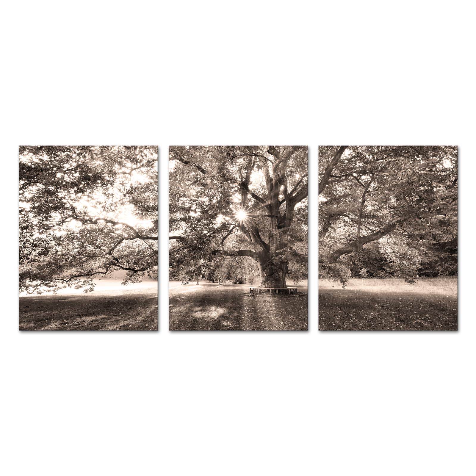 Amazon.com: Artsbay Beige and Brown Big Tree Canvas Prints Wall Art Old ...